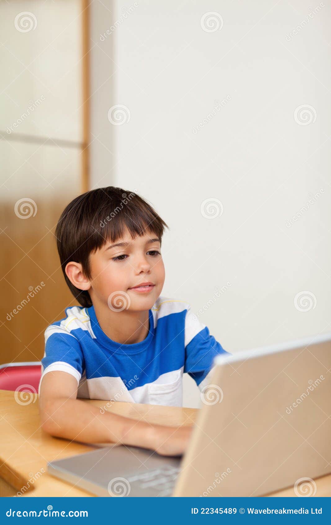 Boy Playing Computer Games On The Laptop Royalty Free Stock Images ...