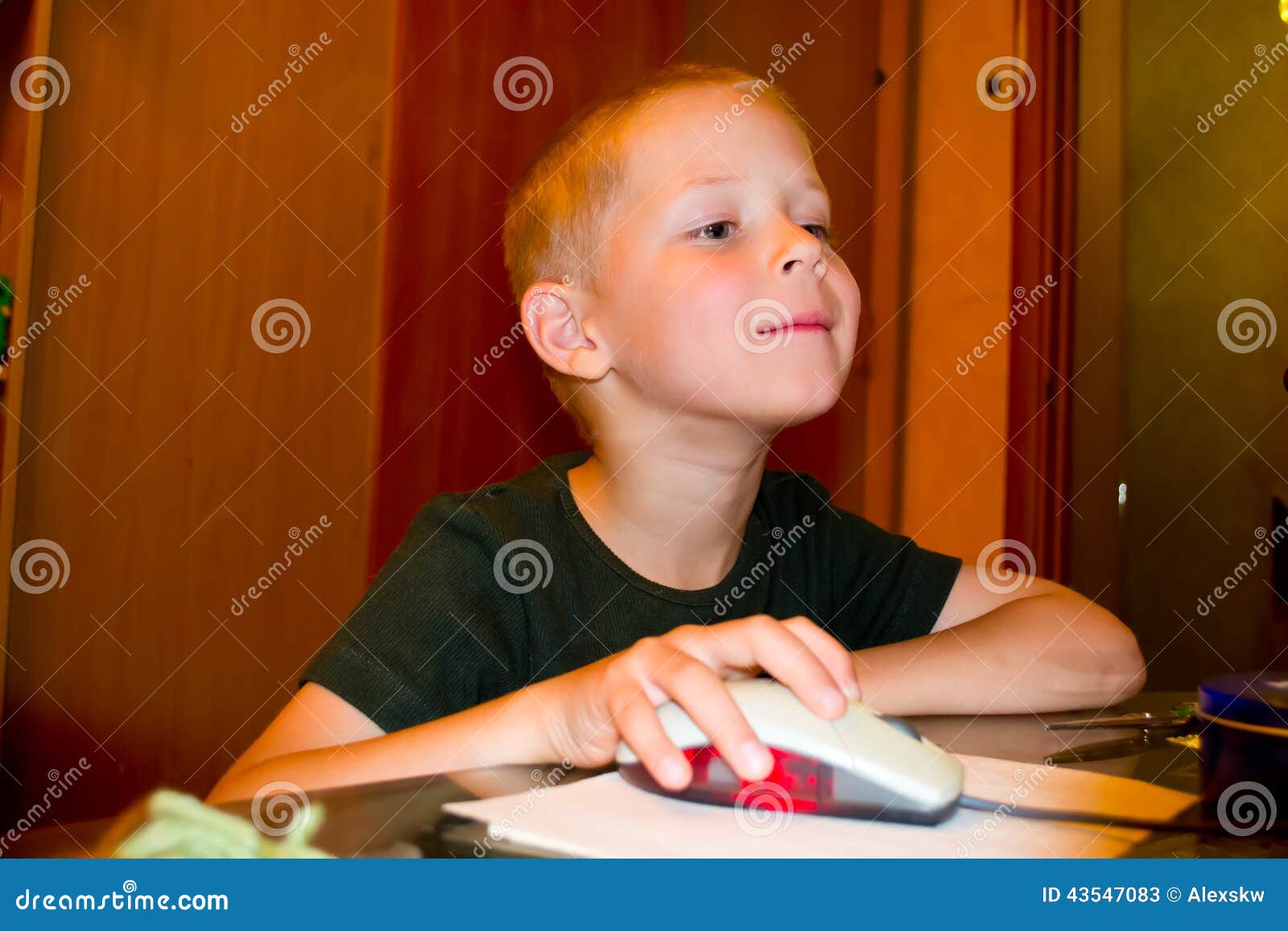 Boy Playing on the Computer Stock Image - Image of amazed, cheerful ...