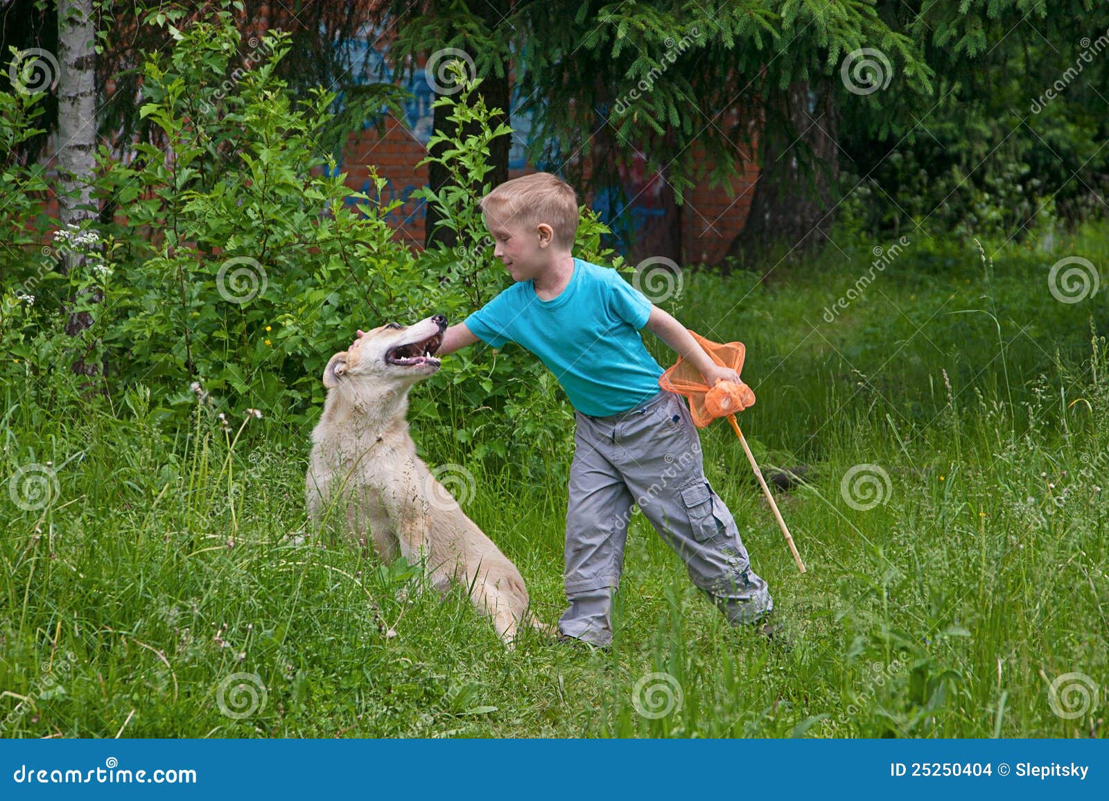 Boy playing with dog stock photo. Image of nature, smiling - 25250404