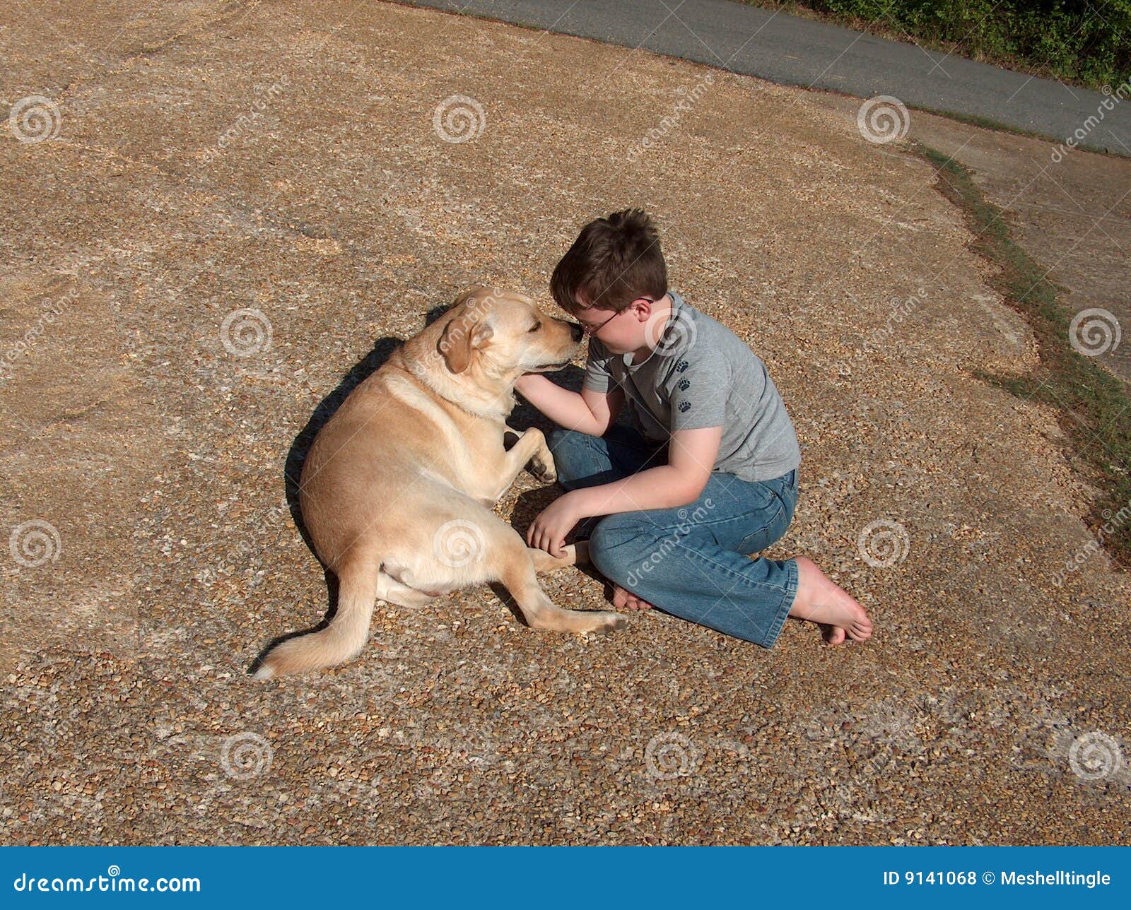 Boy playing with dog stock photo. Image of affection, outdoor - 9141068