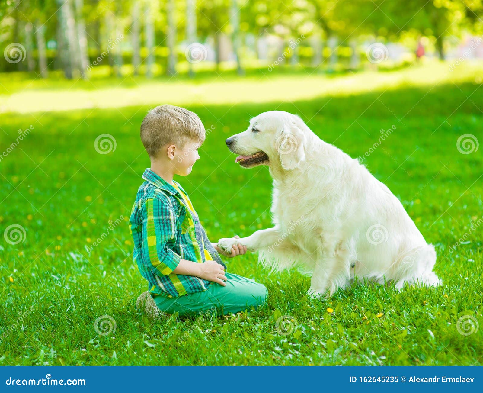 Boy Playing with the Dog on Green Grass Stock Image - Image of outdoor ...