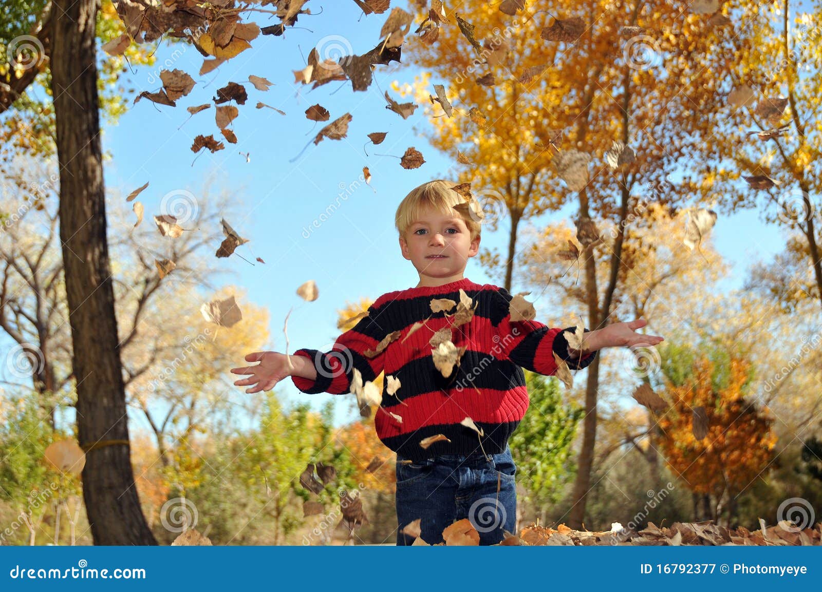 Boy playing in fall leaves stock image. Image of throw - 16792377