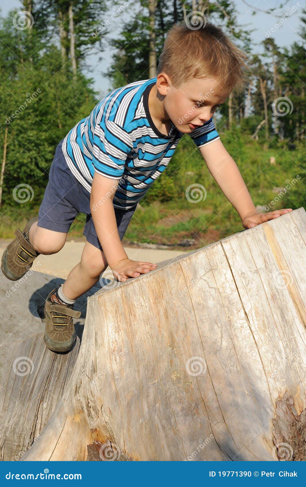 Boy playing in forest stock photo. Image of outdoors - 19771390