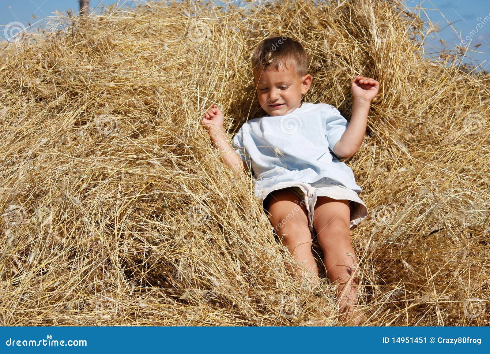Boy playing in hay stock image. Image of natural, lifestyle - 14951451