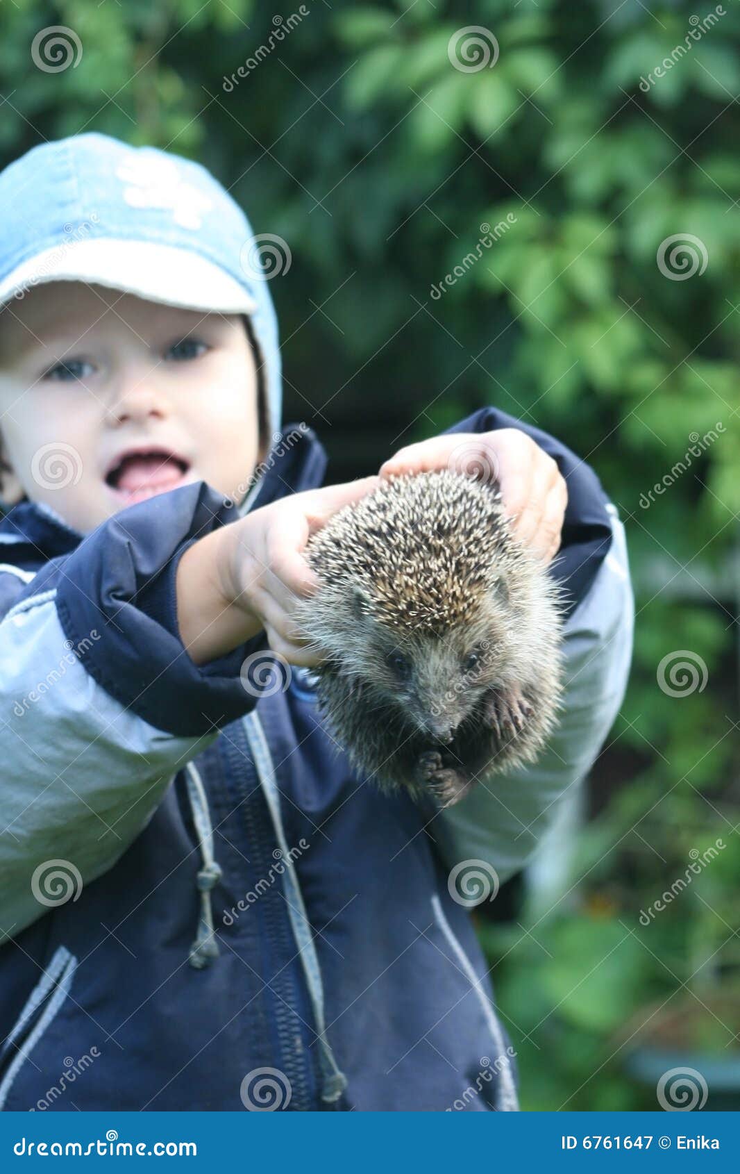 Boy playing with hedgehog stock image. Image of pets, little - 6761647