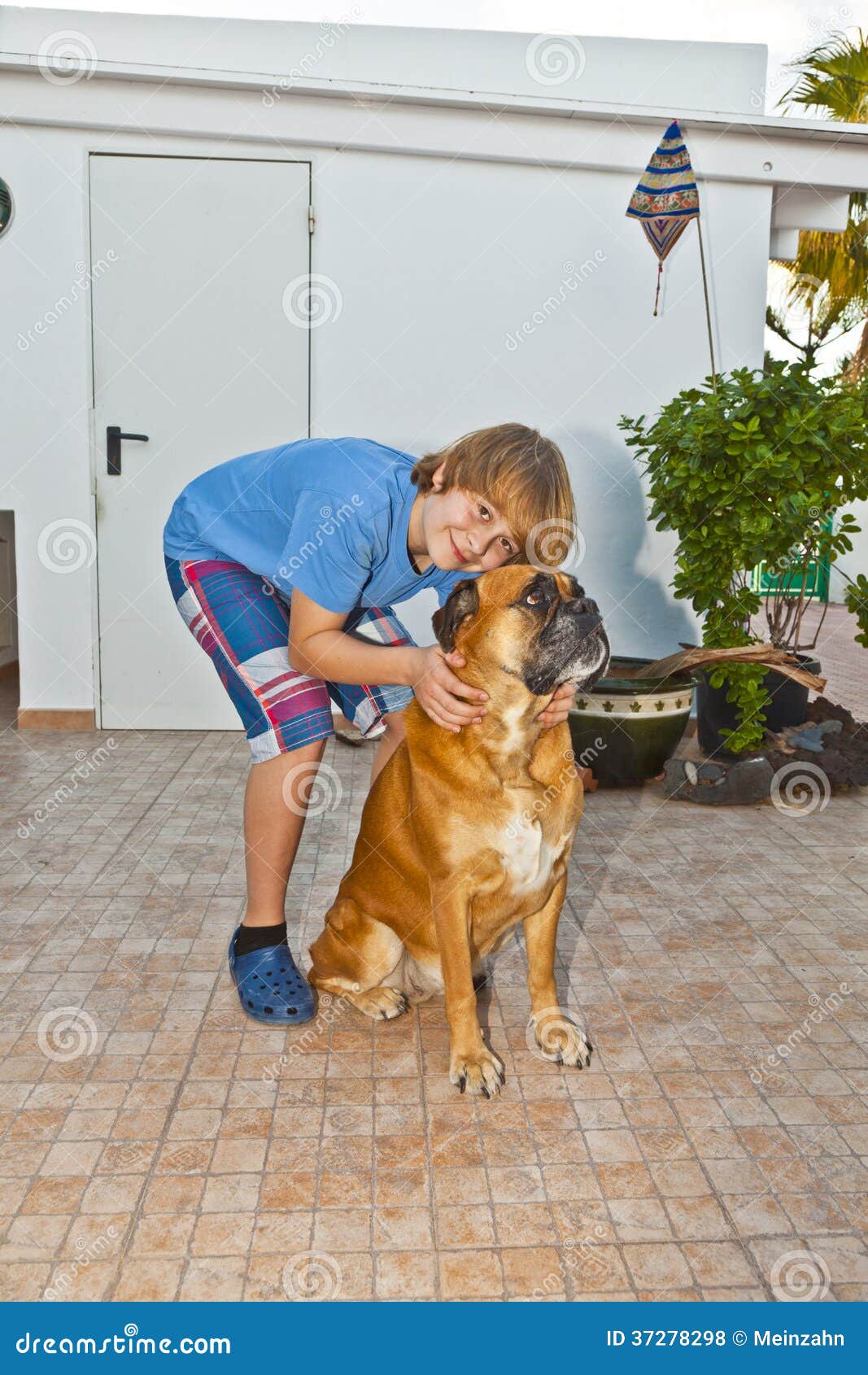 Boy playing with his dog stock photo. Image of home, patio - 37278298