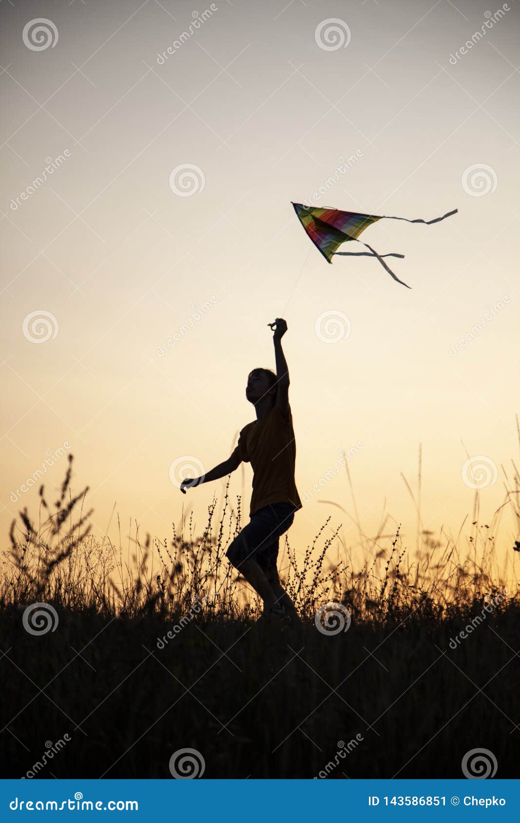 Boy Playing Kite on Summer Sunset Meadow Silhouetted Stock Image ...