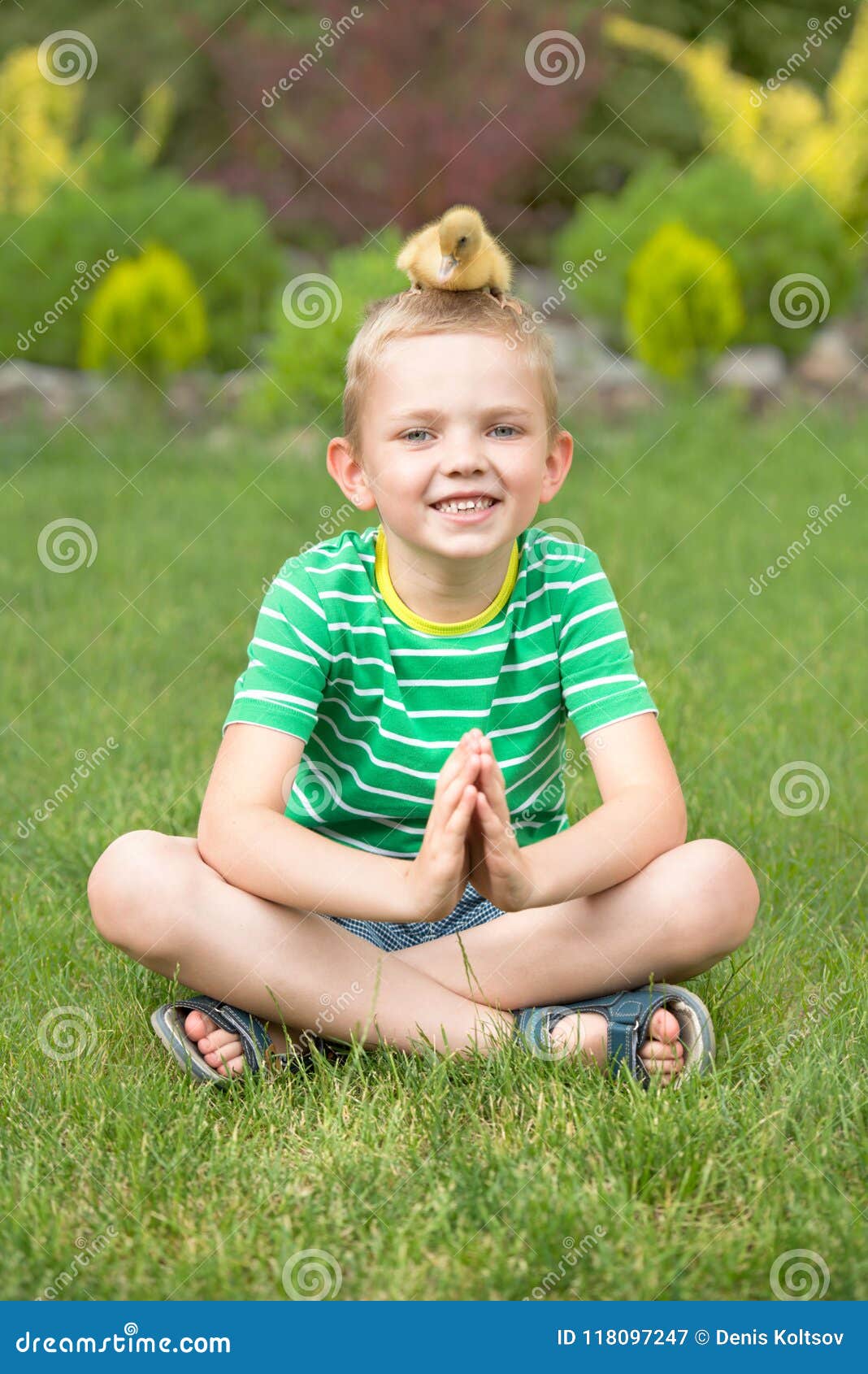 Boy Playing with a Little Duckling.Duck Sitting on the Head of the ...