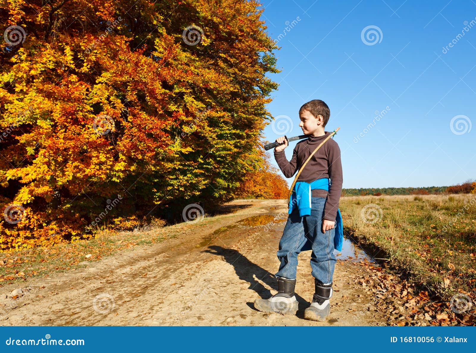 Boy playing outdoor stock photo. Image of outdoor, forest - 16810056