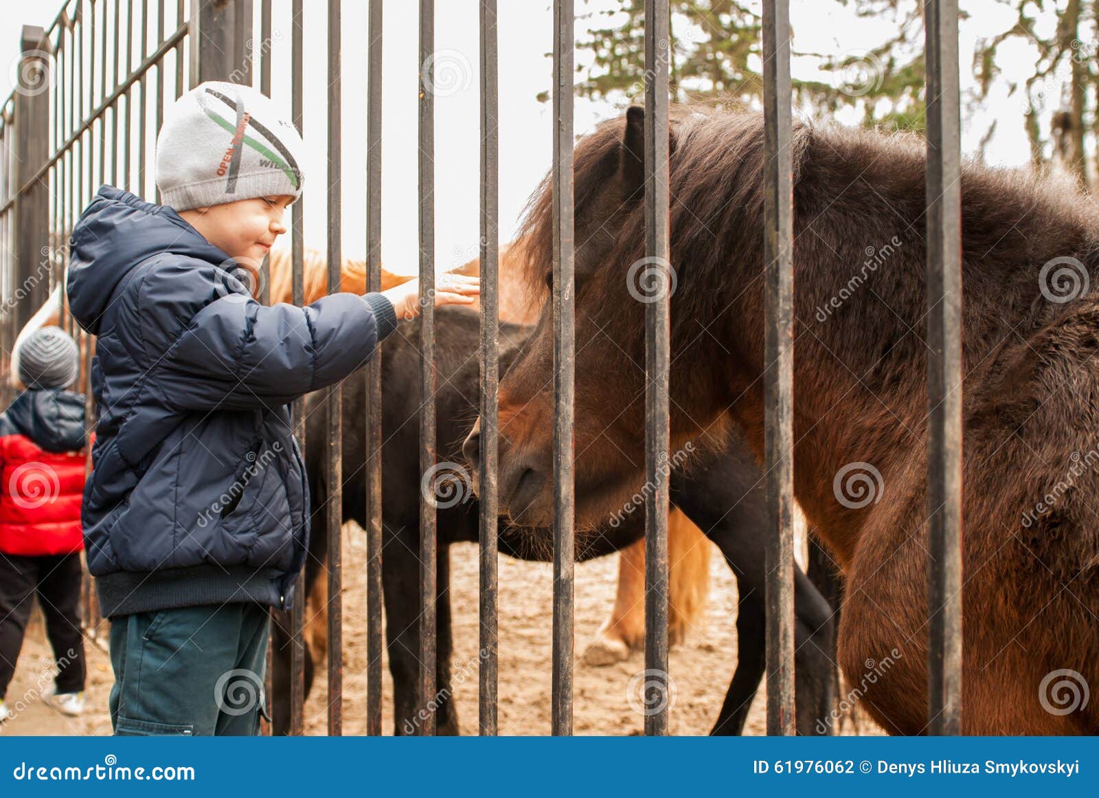 Boy playing with ponies stock photo. Image of simpatico - 61976062