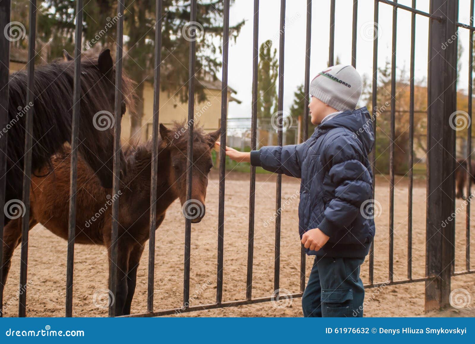 Boy playing with ponies stock photo. Image of simpatico - 61976632