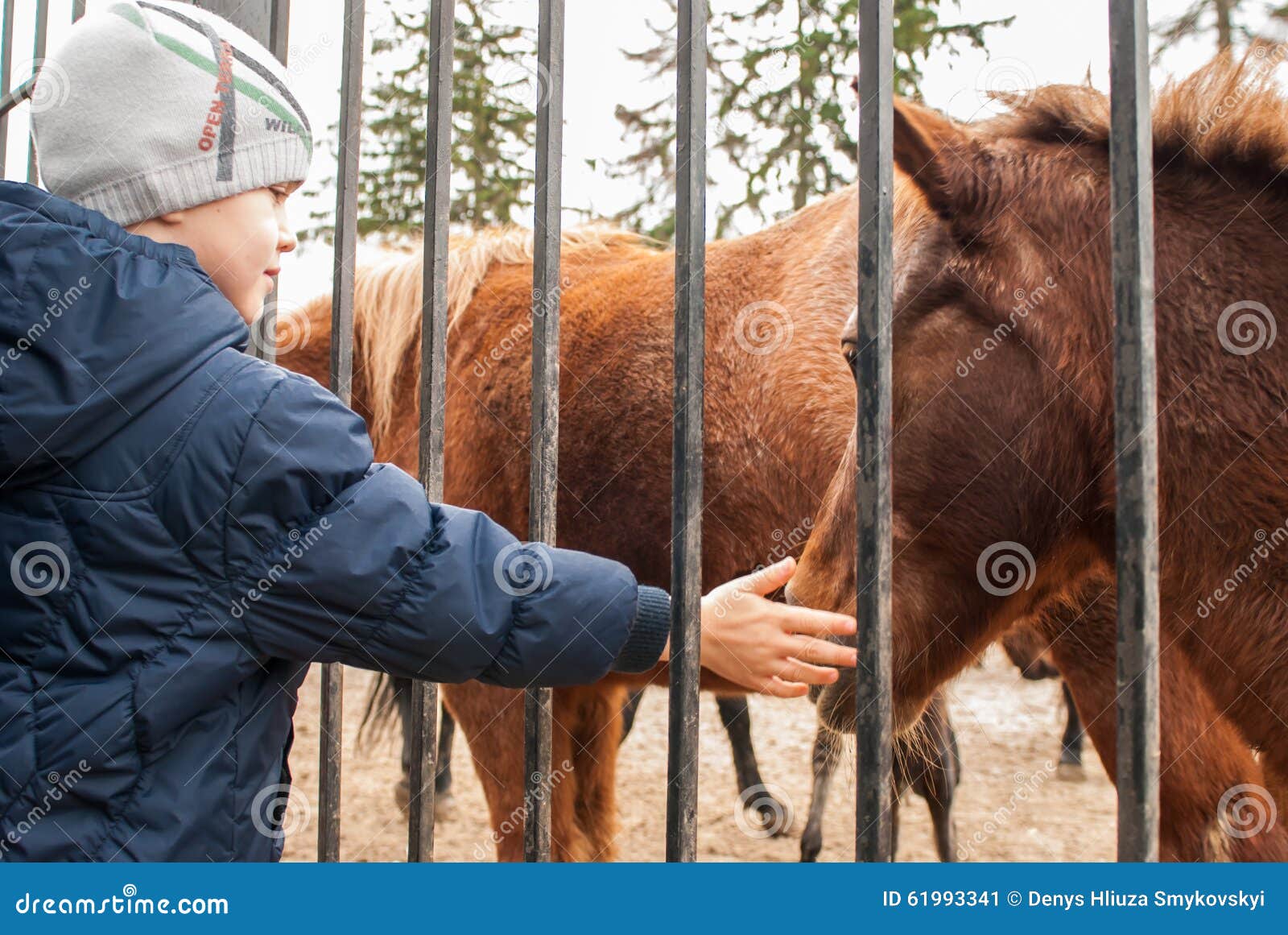 Boy playing with ponies stock image. Image of head, nice - 61993341