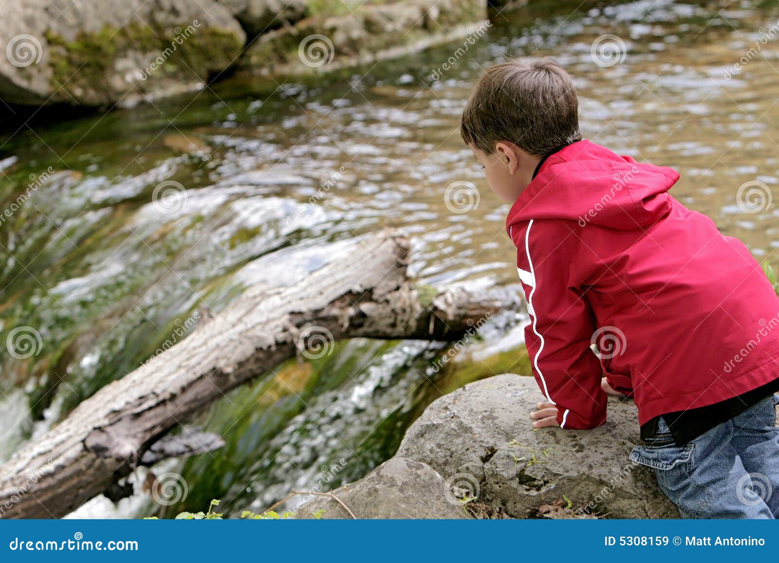 Boy playing in the river stock image. Image of grass, play - 5308159