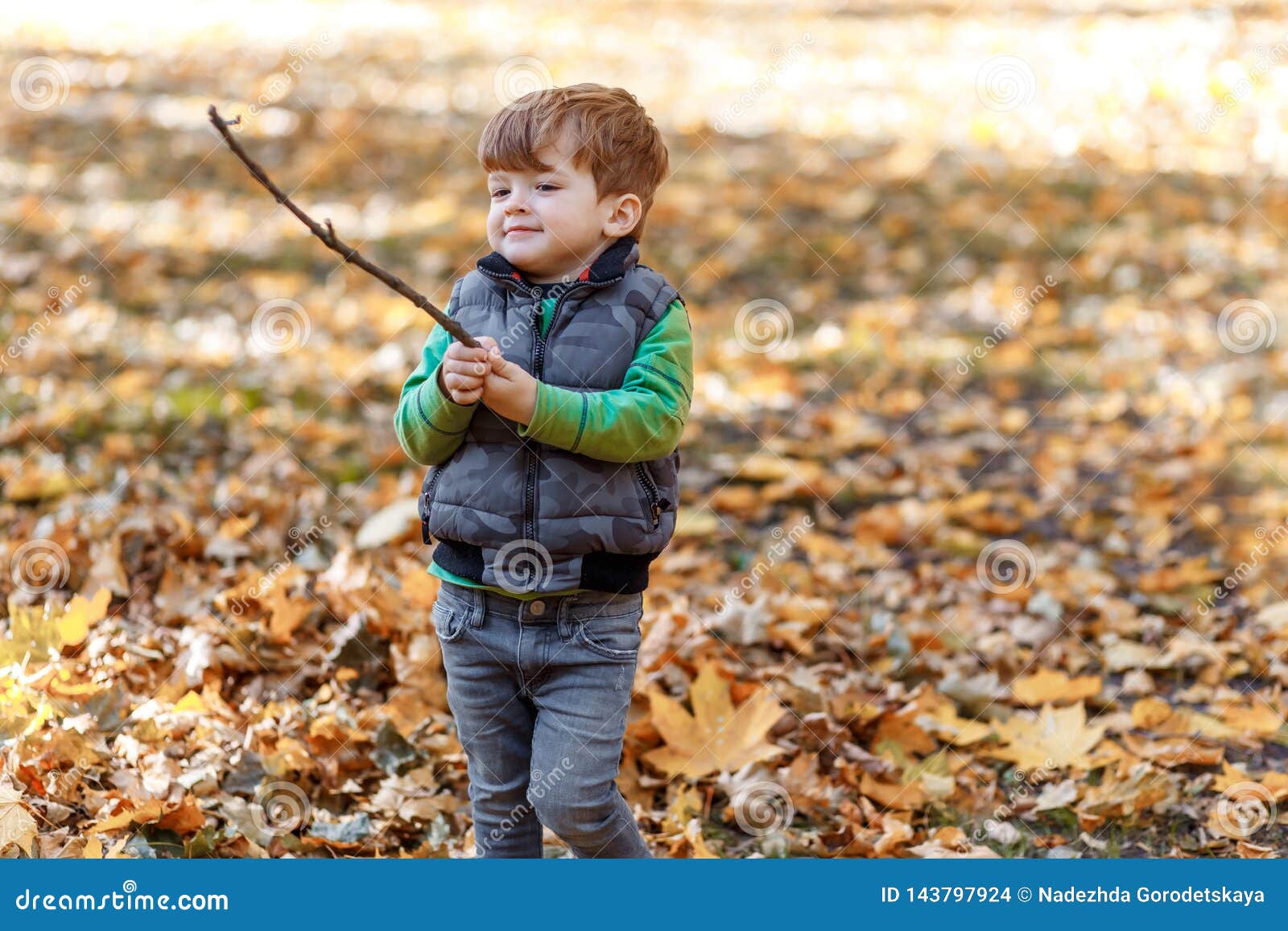 A Boy Playing with a Stick Outside Stock Photo - Image of autumn ...