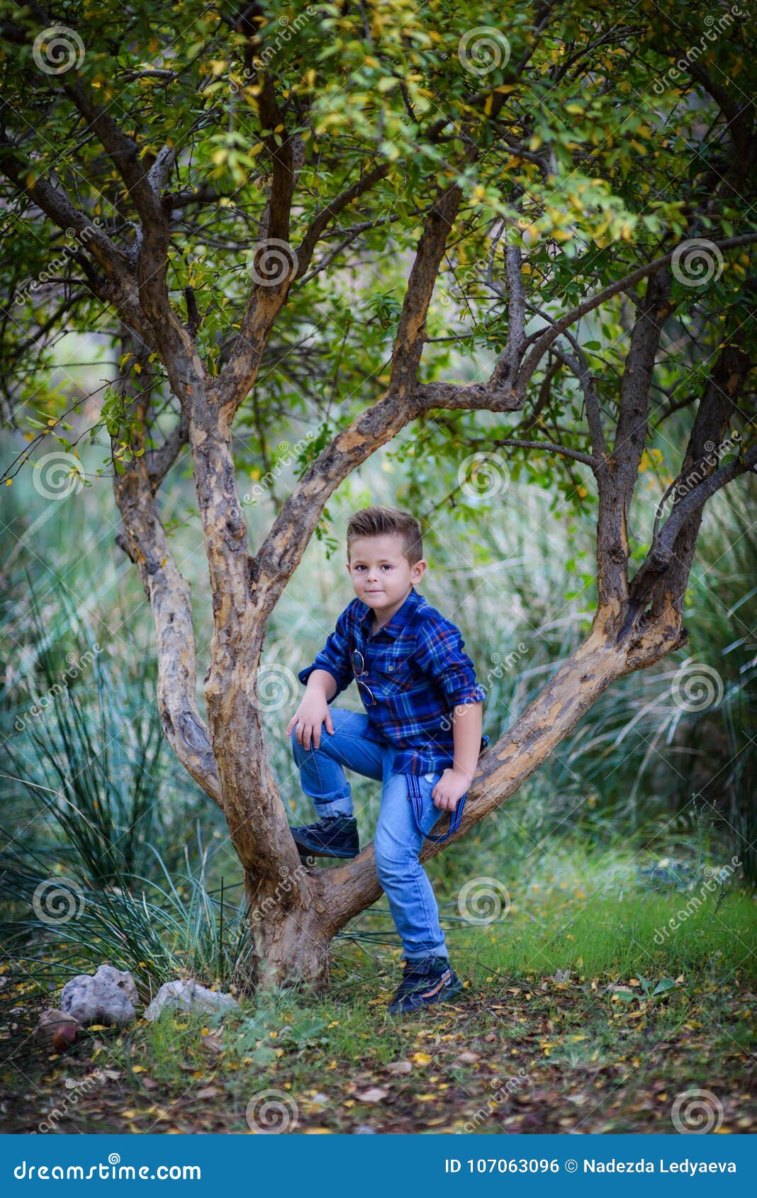 Boy playing at tree stock photo. Image of person, europeanlittleboy ...