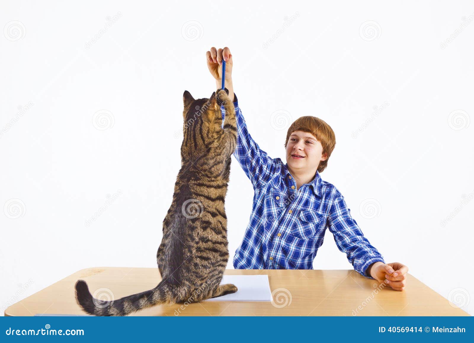 Boy Plays with His Tabby Cat Stock Photo - Image of back, homework ...