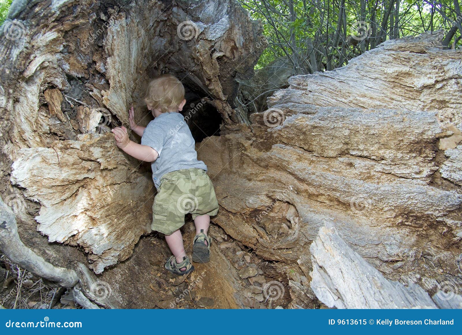 Boy plays in hollow tree stock image. Image of nature - 9613615