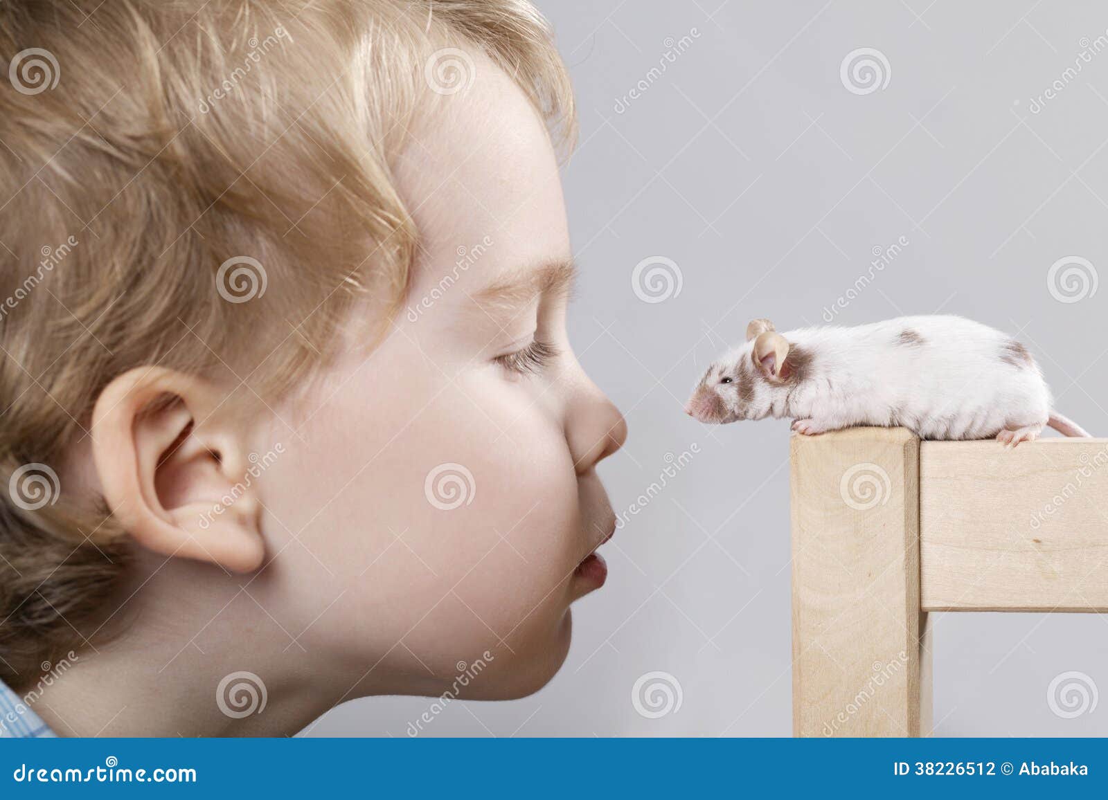 Boy plays with mouse stock photo. Image of little, child - 38226512