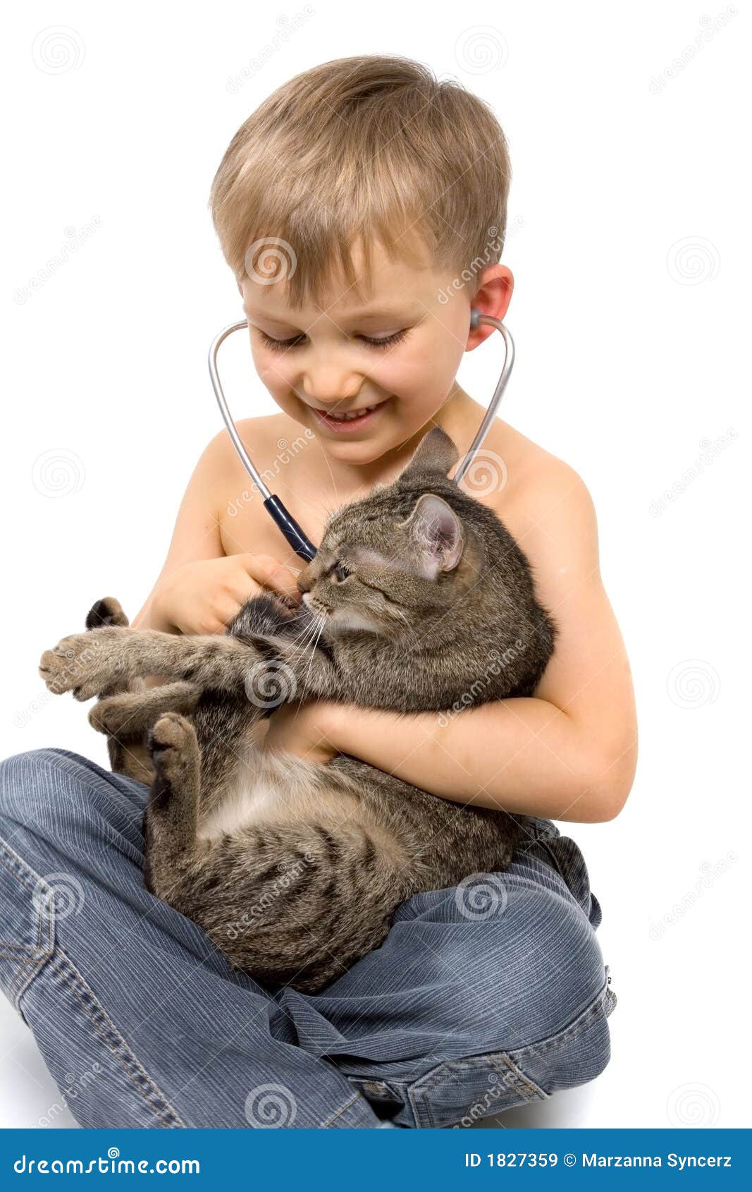 Boy Plays Veterinarian with Cat Stock Image - Image of heart, examining ...