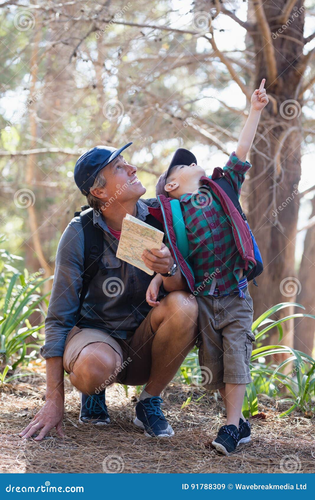 Boy Pointing while Man Looking Up in Forest Stock Image - Image of ...