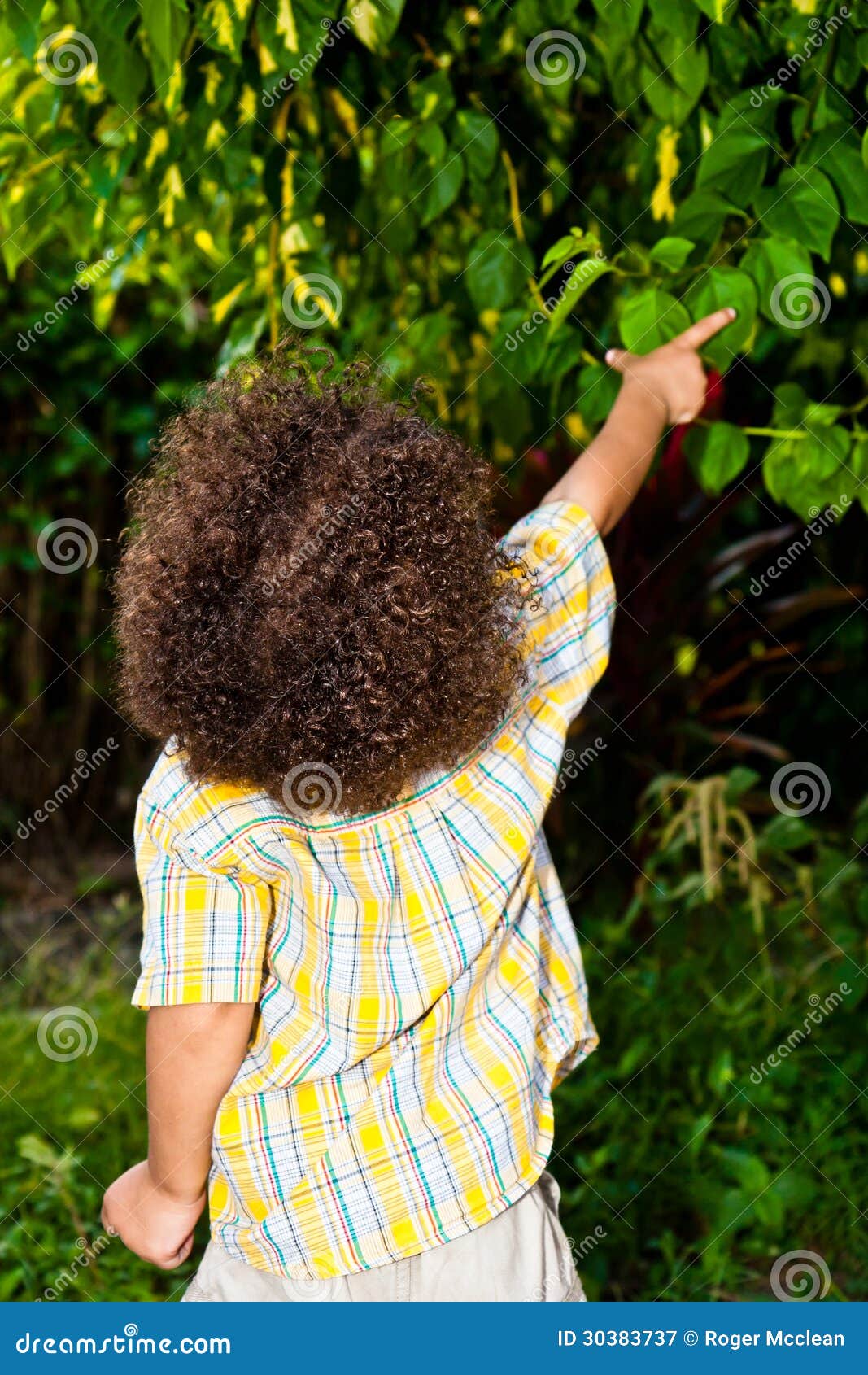 Boy pointing out nature stock image. Image of trinidad - 30383737