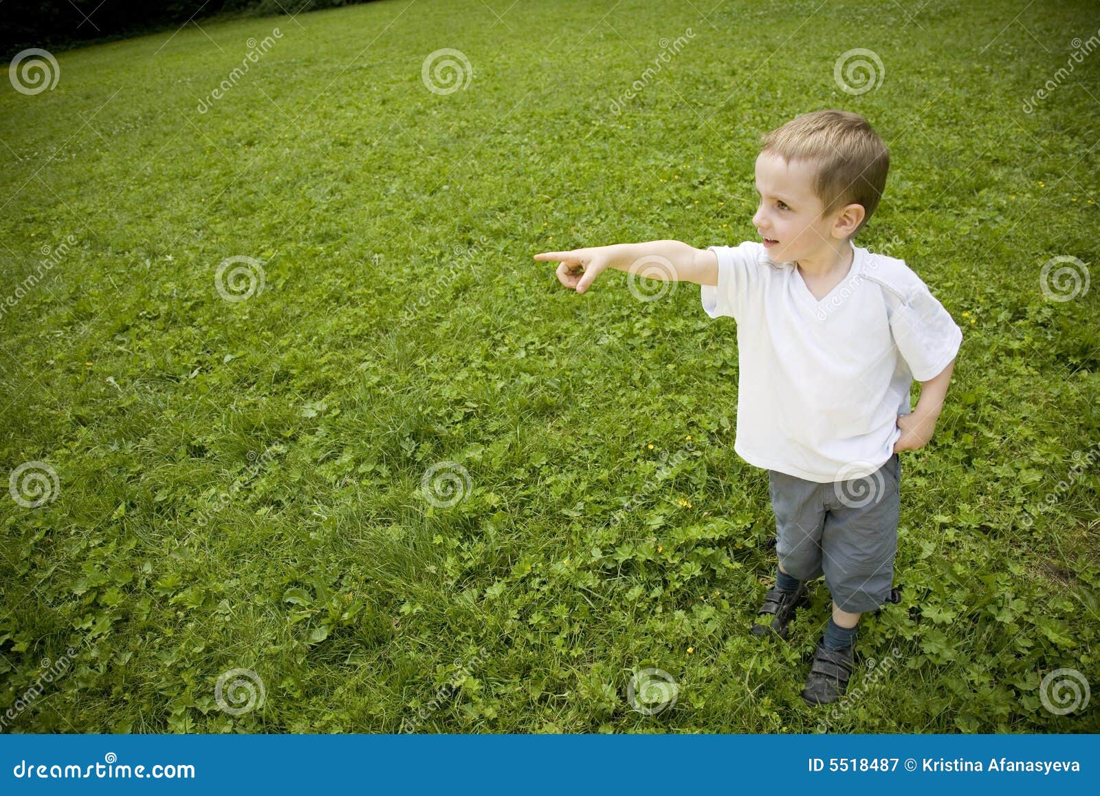 Boy Pointing At The Sky Picture. Image: 5518487