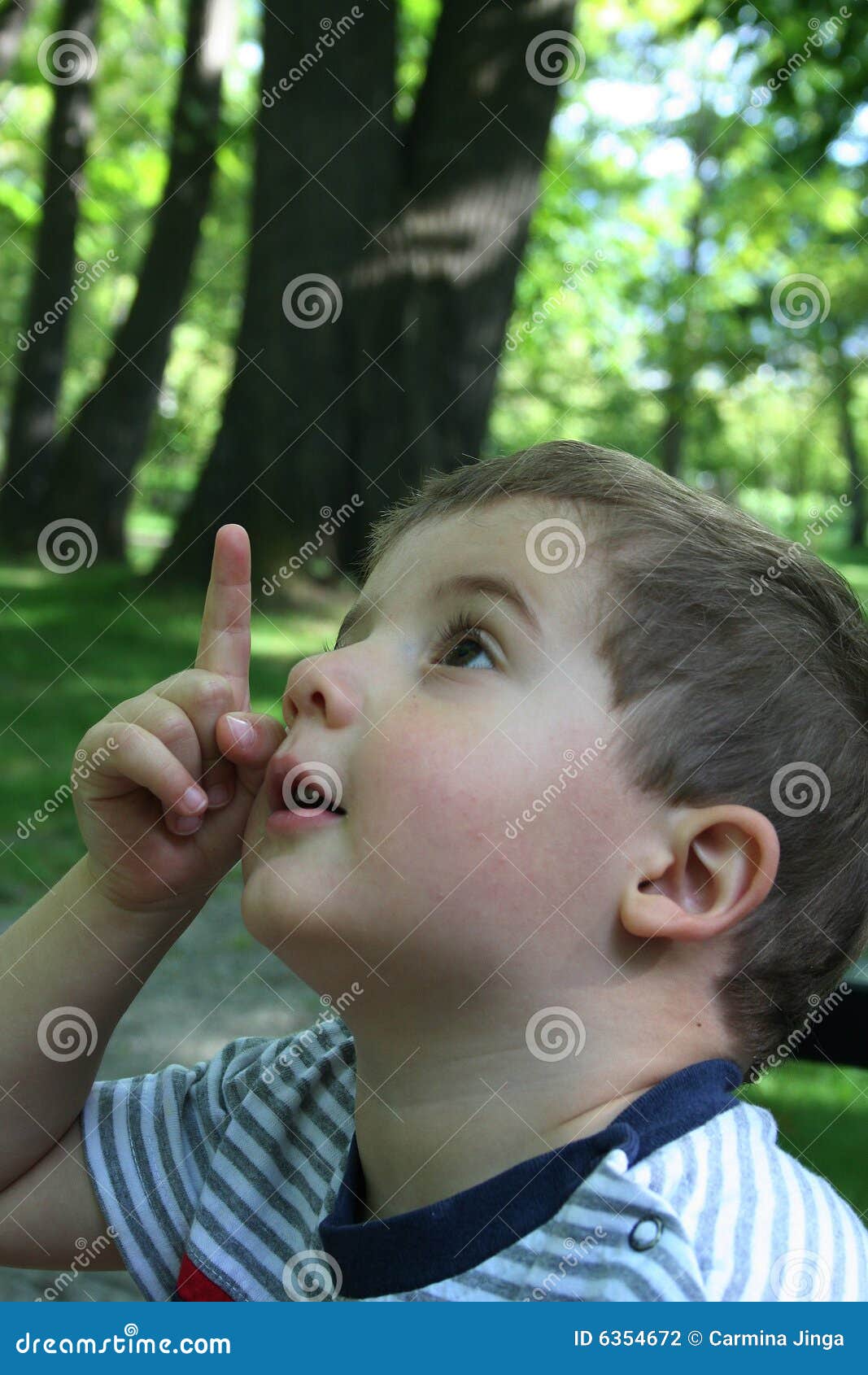 Boy pointing up stock photo. Image of face, expression - 6354672