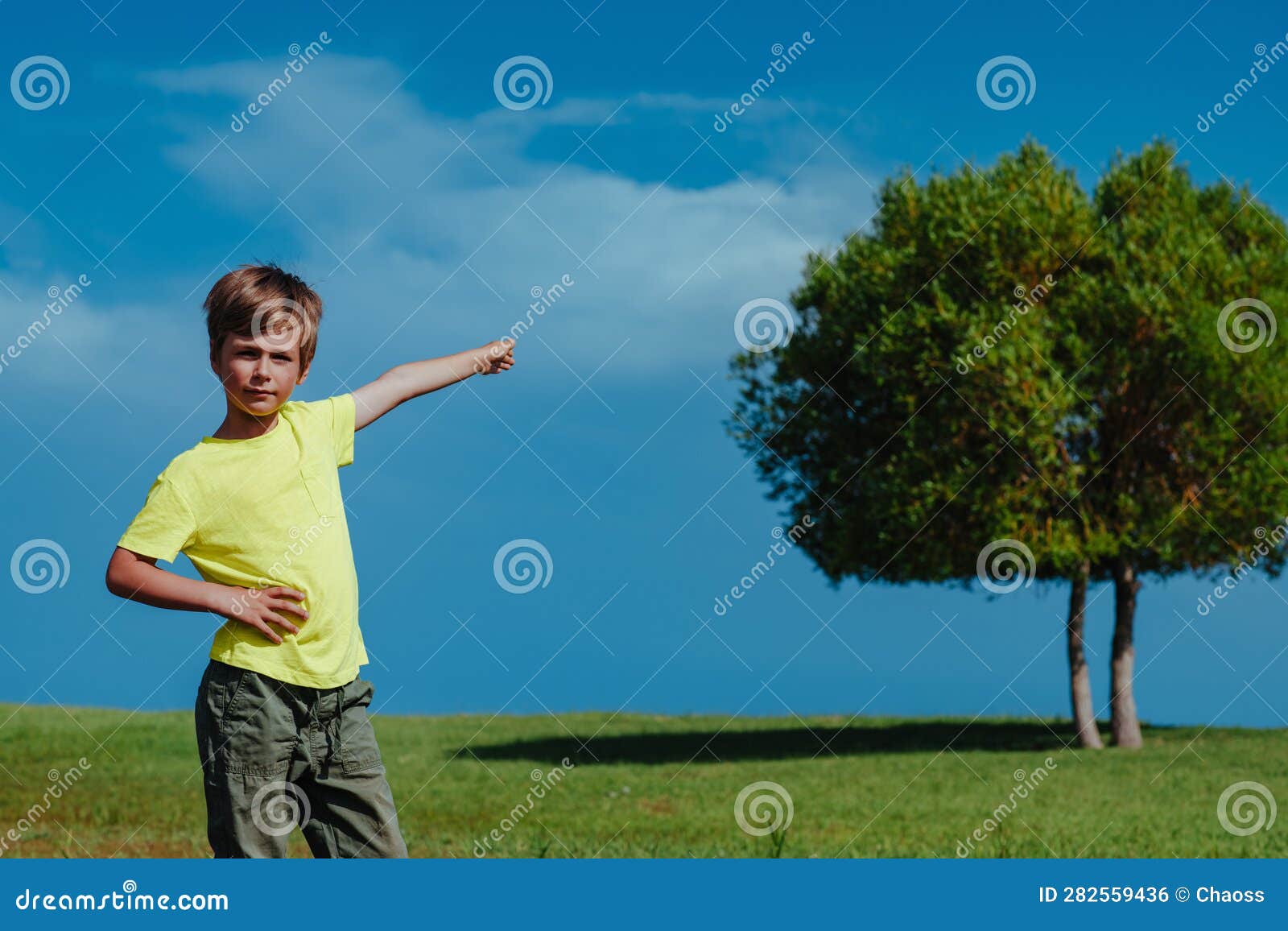 Boy Points To the Tree, Ecology Concept Stock Photo - Image of clouds ...