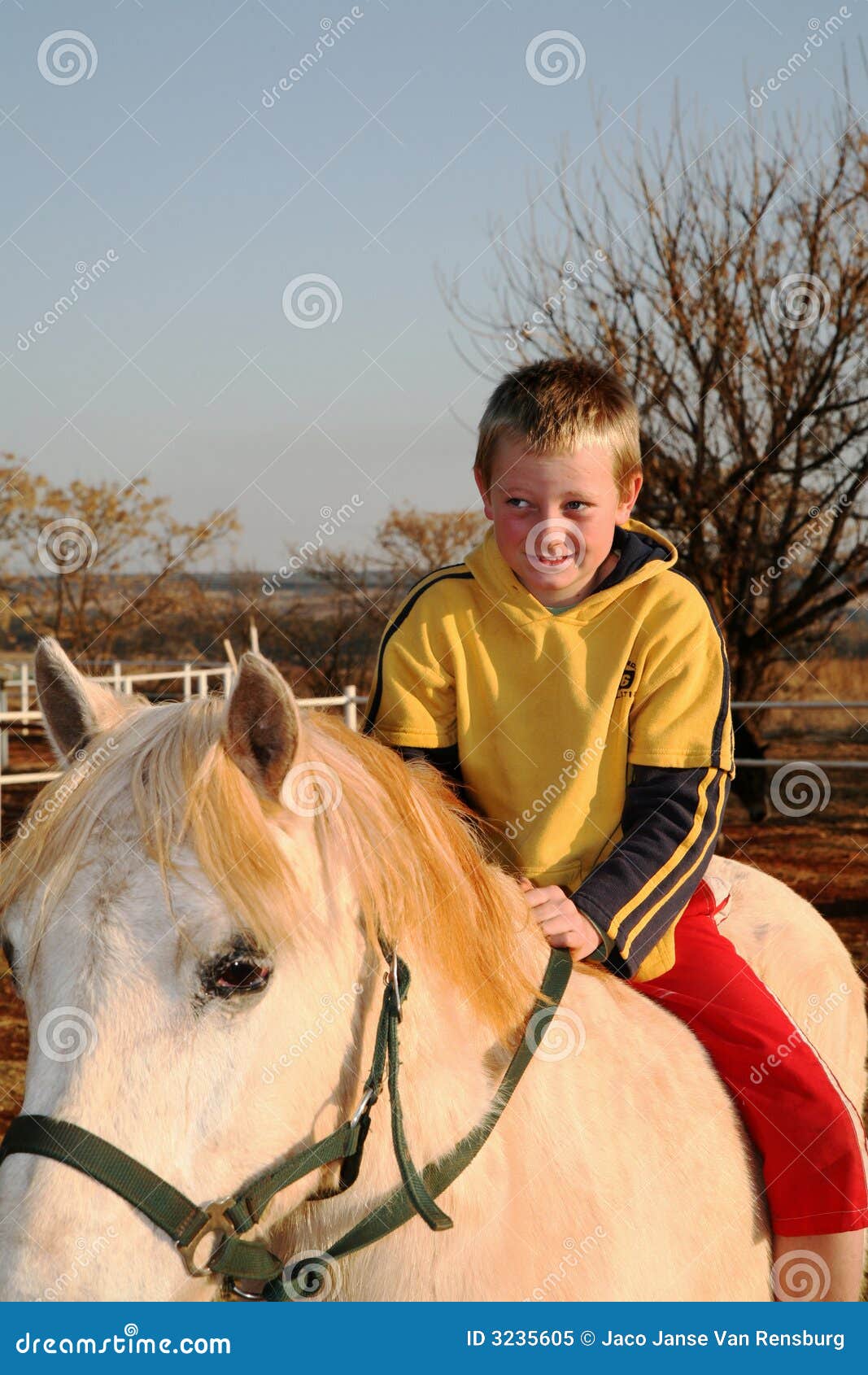 Boy on Pony stock image. Image of outside, child, atop - 3235605