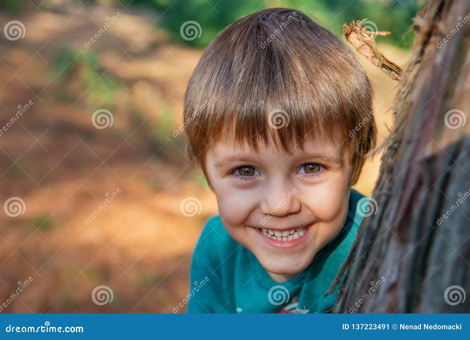 The Boy Poses beside the Tree in Nature Stock Image - Image of ...