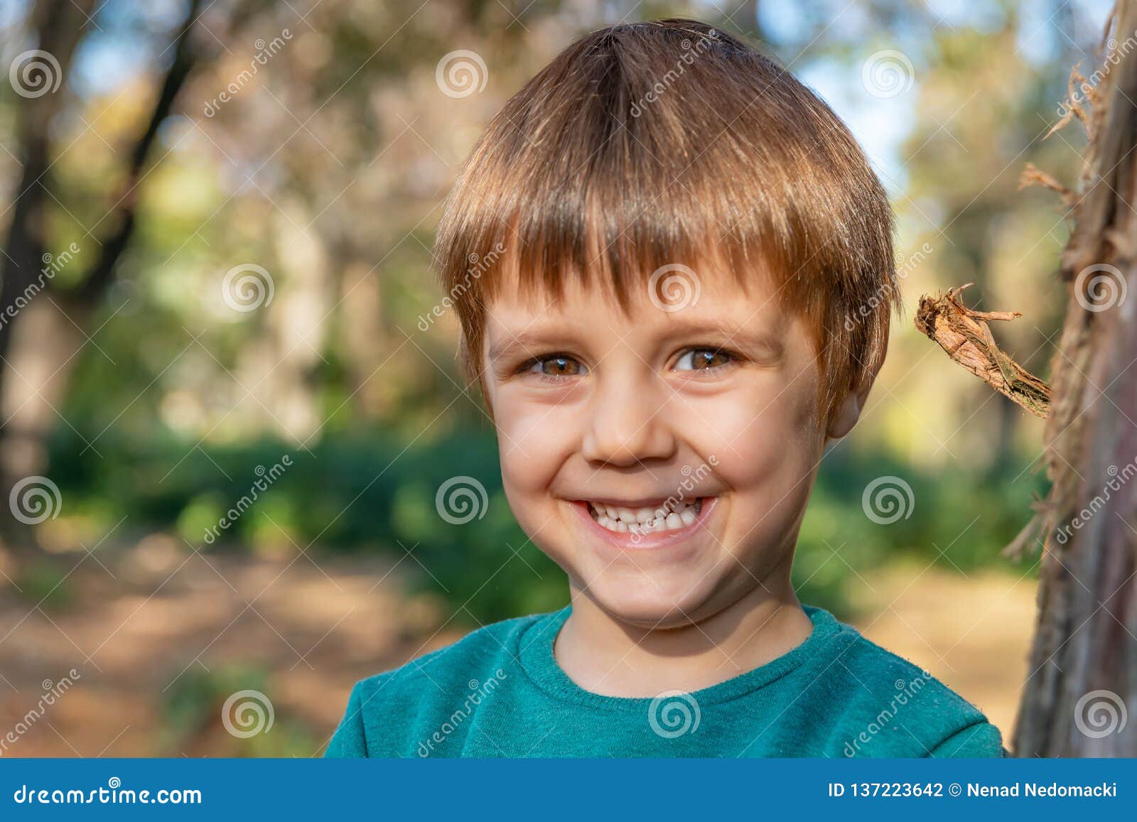 The Boy Poses beside the Tree in Nature Stock Photo - Image of ...