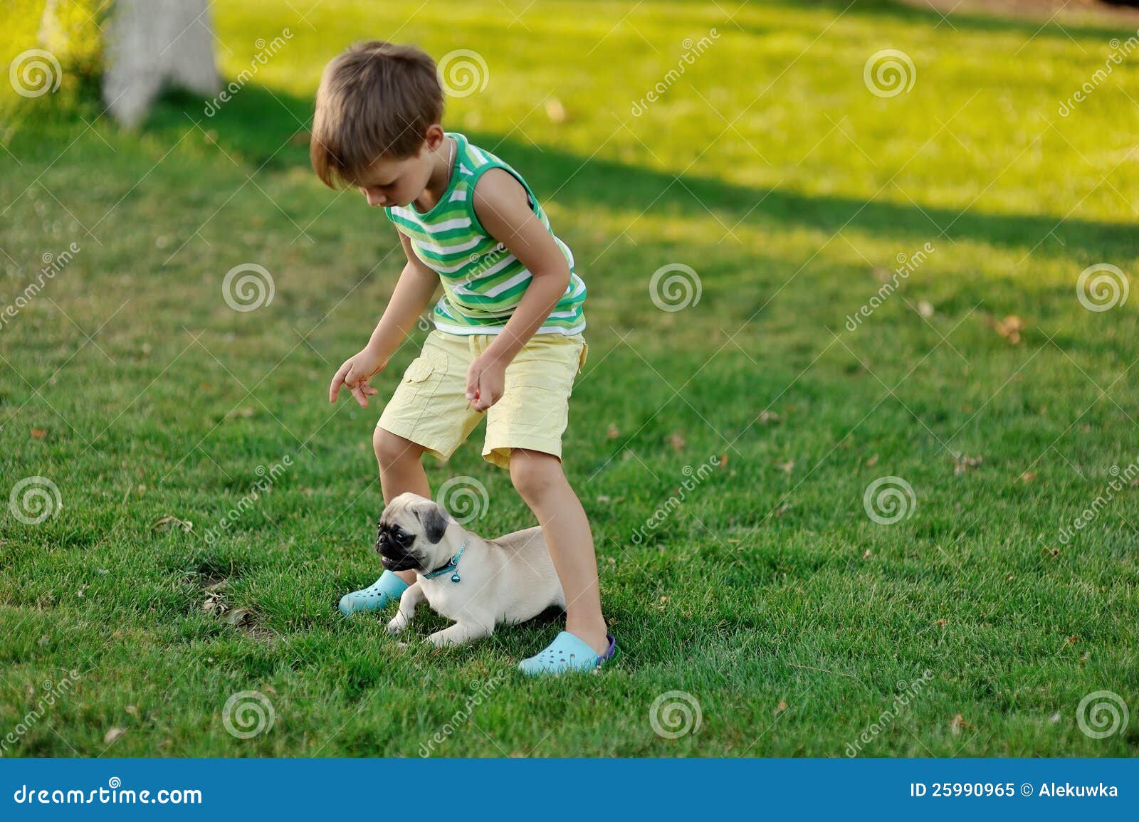 Boy and pug stock image. Image of curiosity, portrait - 25990965