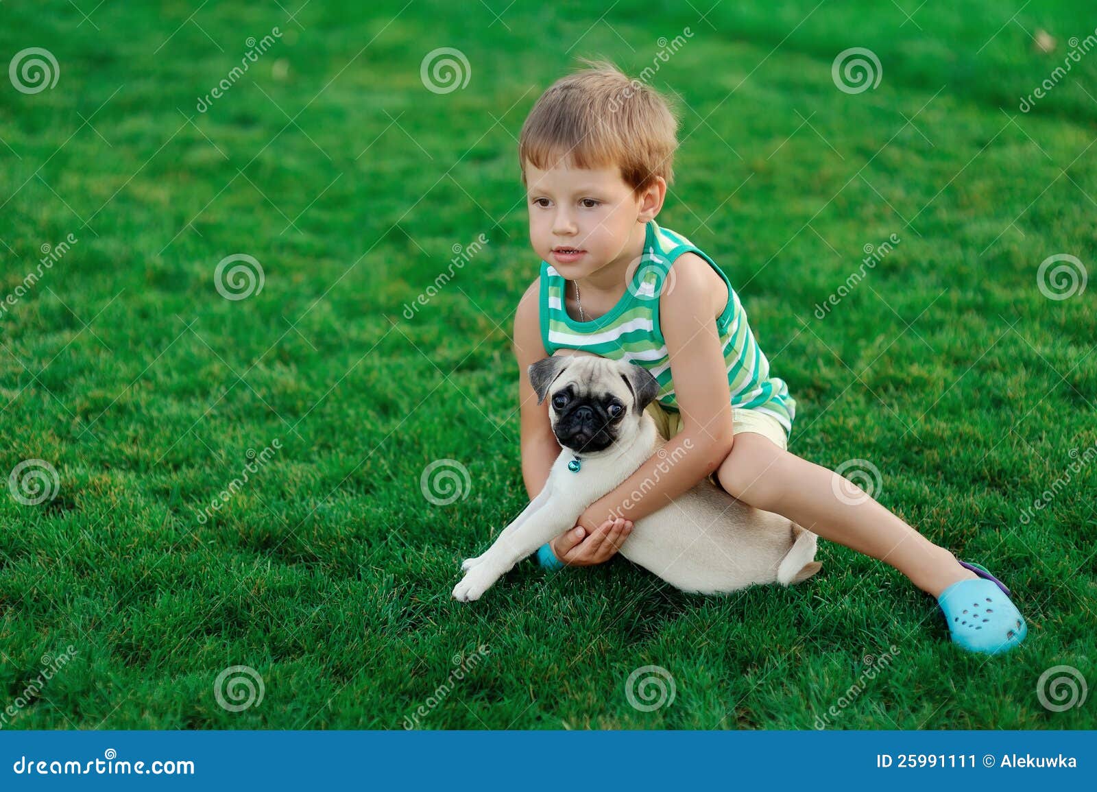 Boy and pug stock image. Image of lawn, pets, curiosity - 25991111