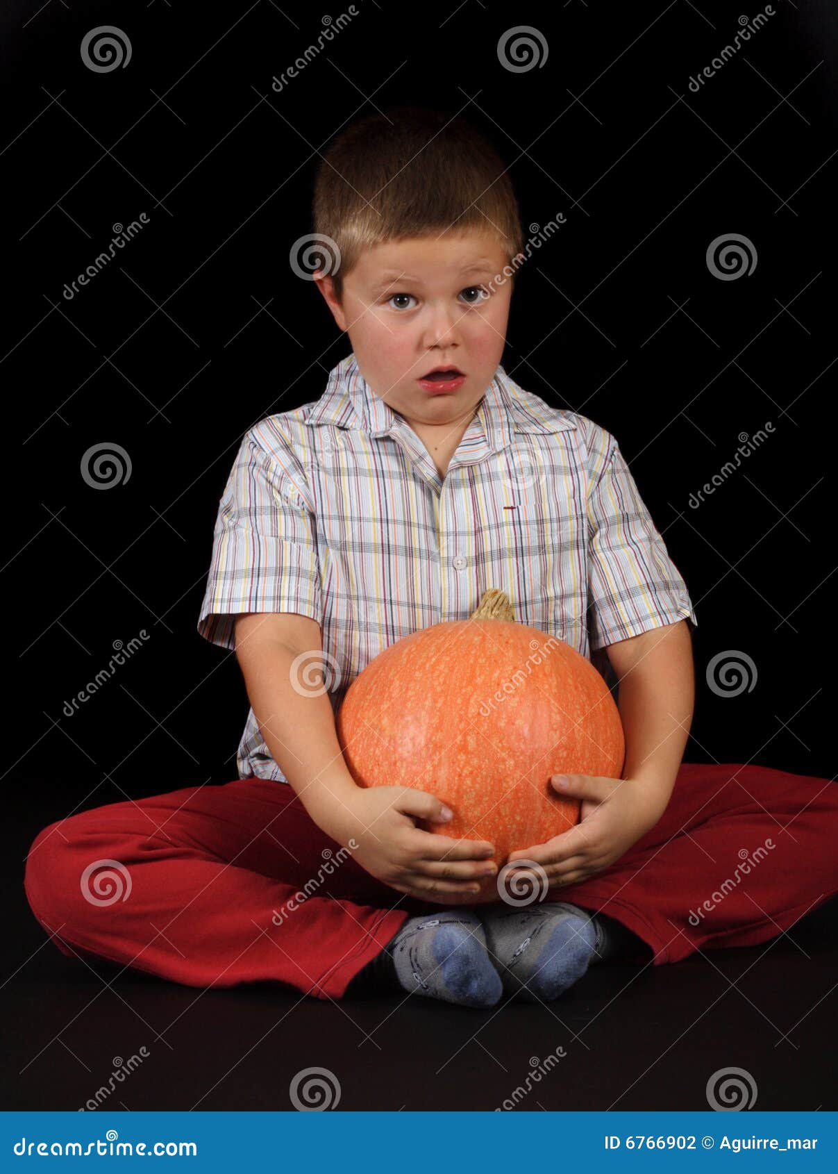 Boy and the pumpkin stock photo. Image of person, beauty - 6766902