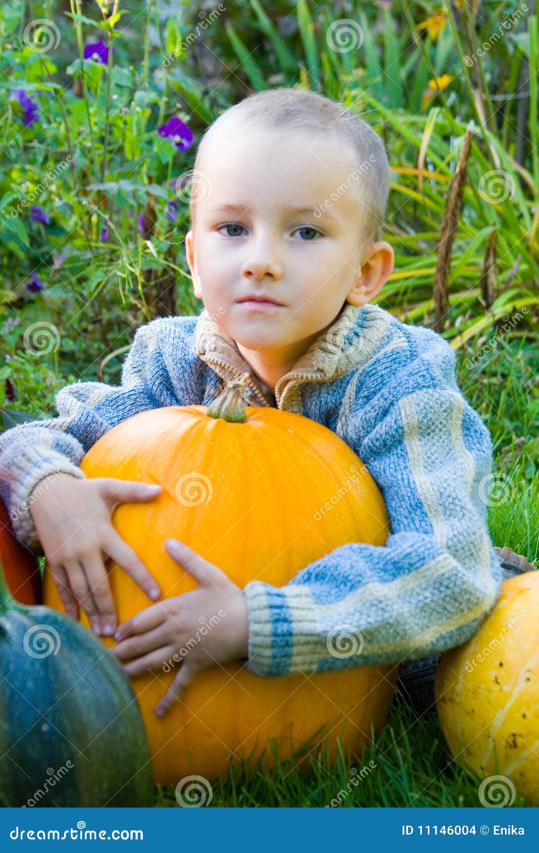 Boy with pumpkins stock photo. Image of cucurbit, gourmet - 11146004