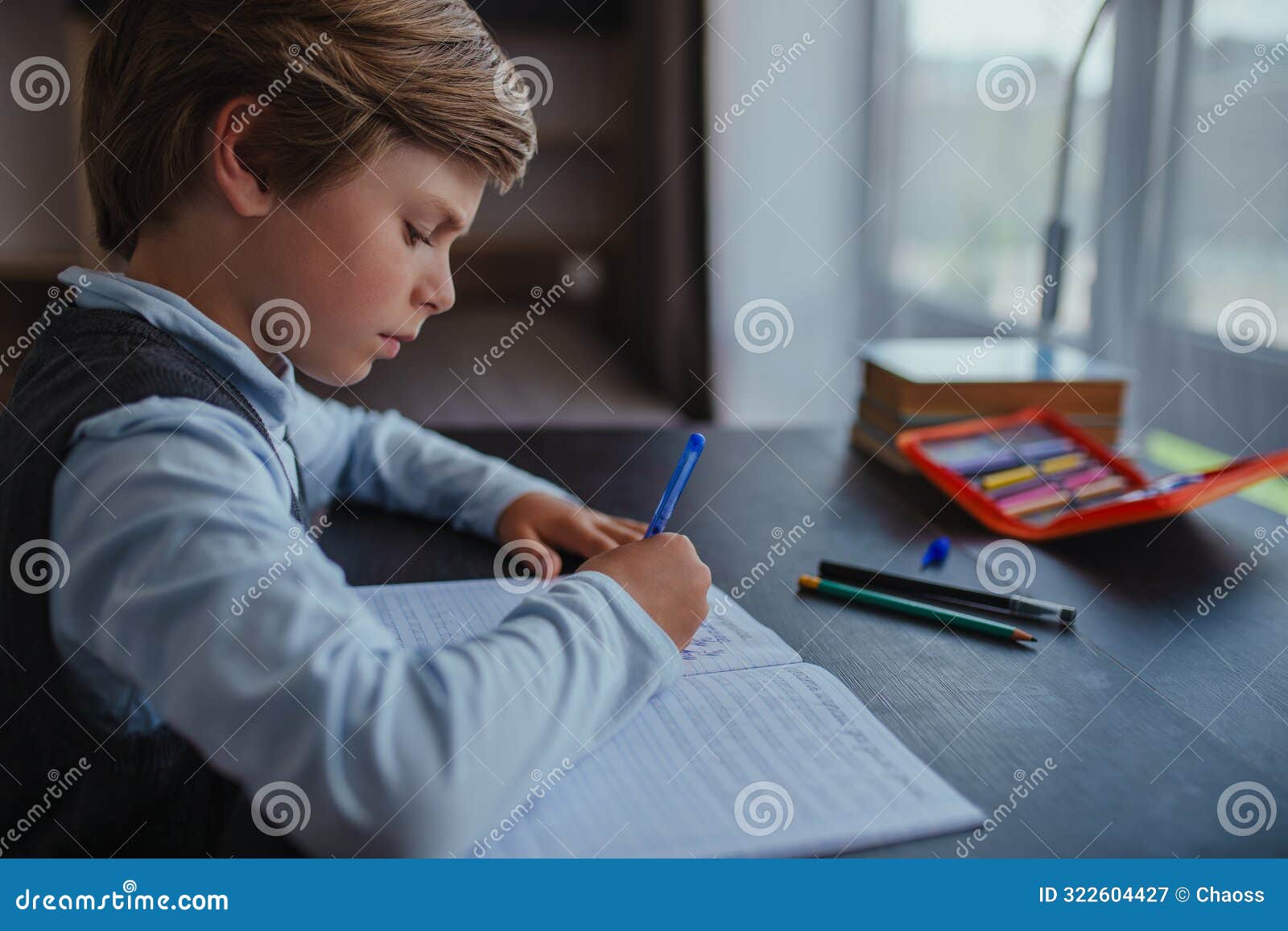 Boy Pupil Doing His Homework Stock Image - Image of pupil, concentrated ...