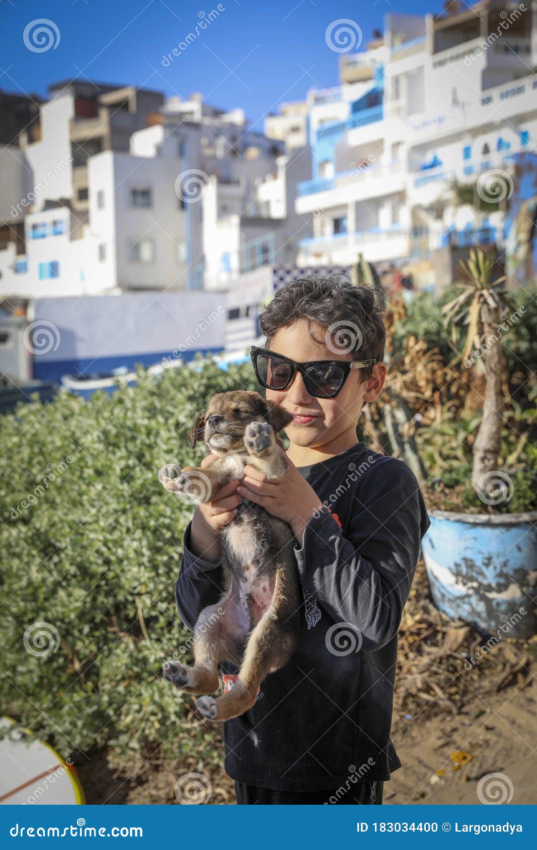A boy with puppy stock photo. Image of lifestyle, happy - 183034400