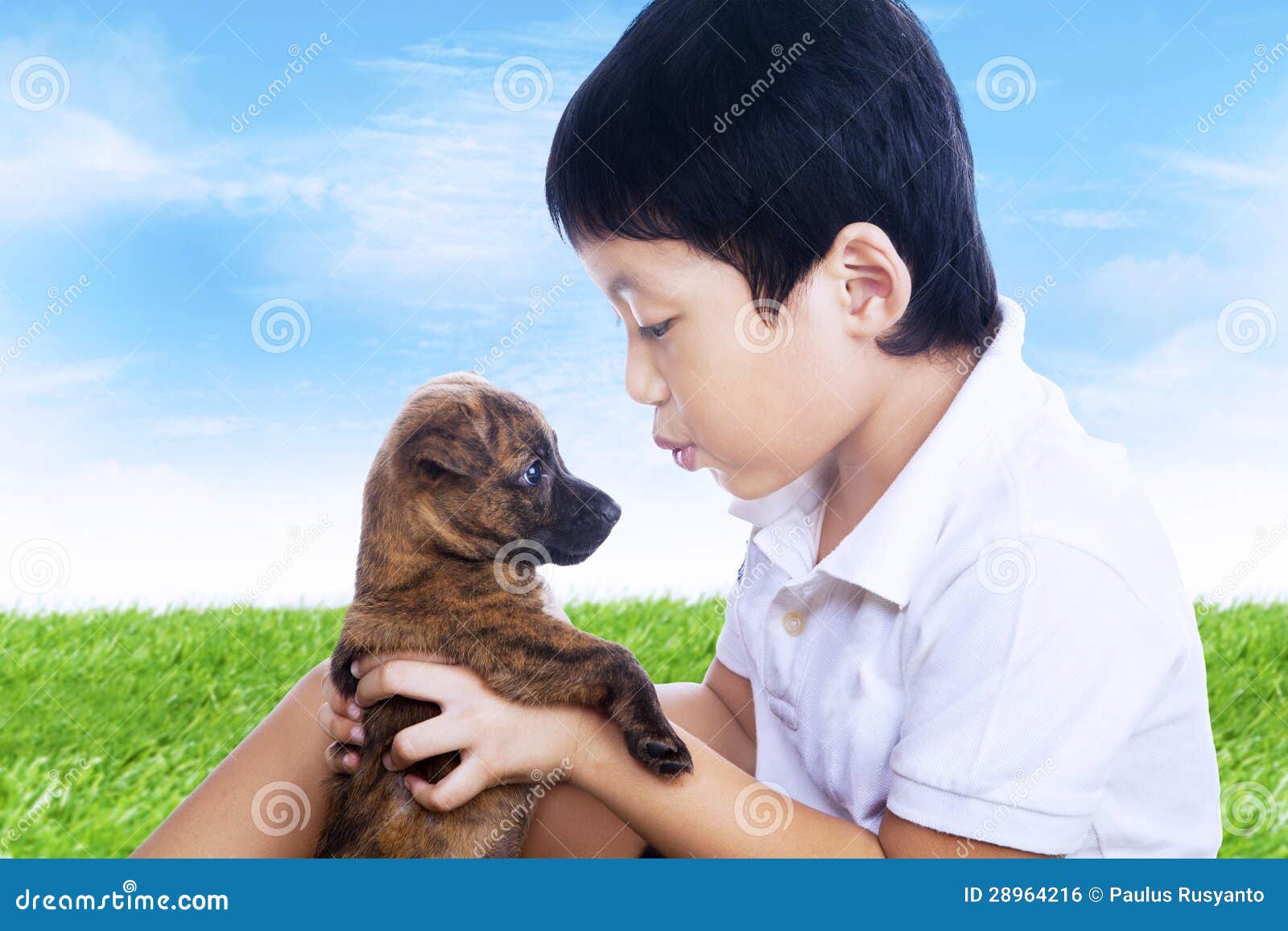 Boy and puppy outdoor stock photo. Image of asian, happy - 28964216