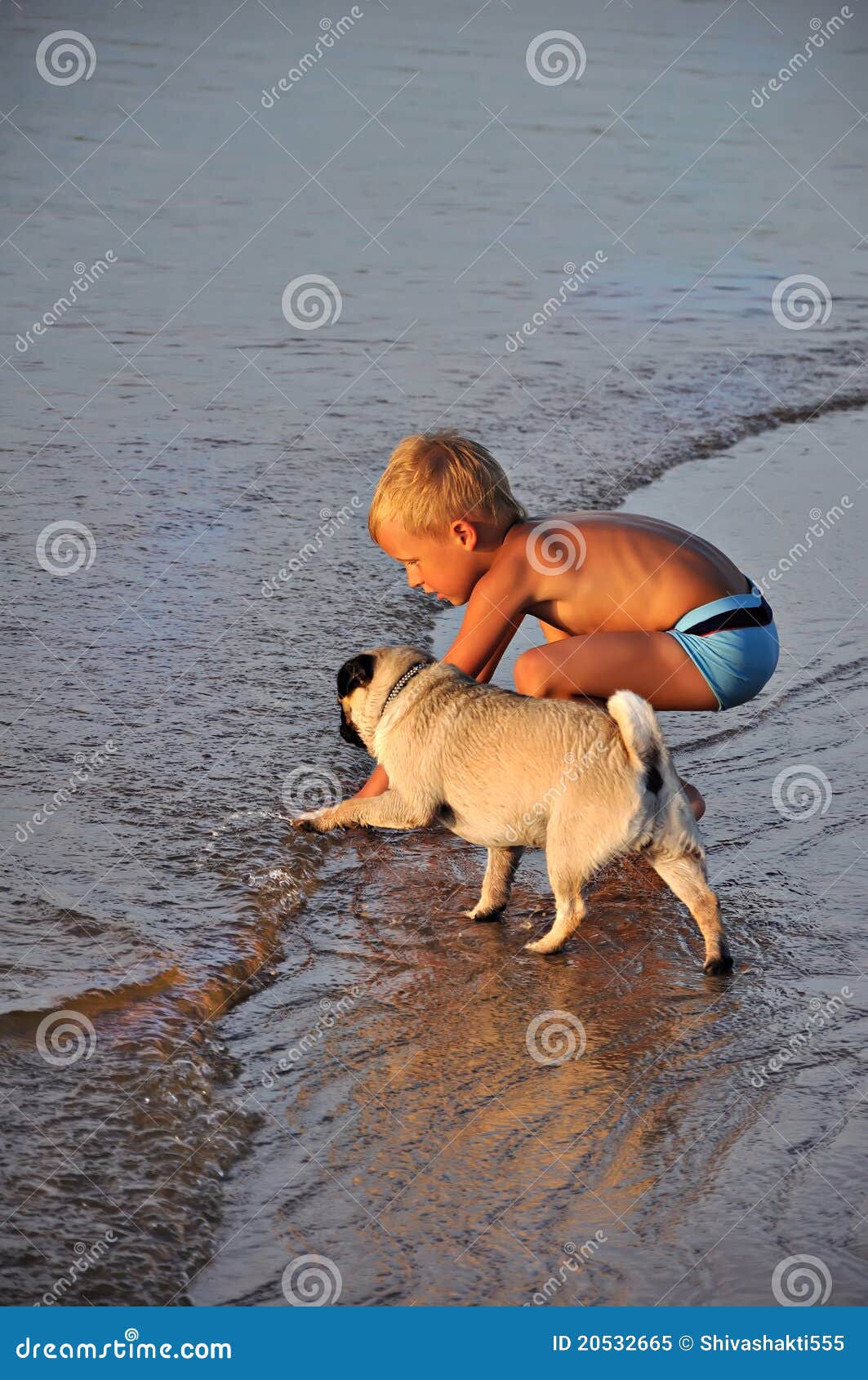 Boy and puppy pug stock image. Image of children, rest - 20532665