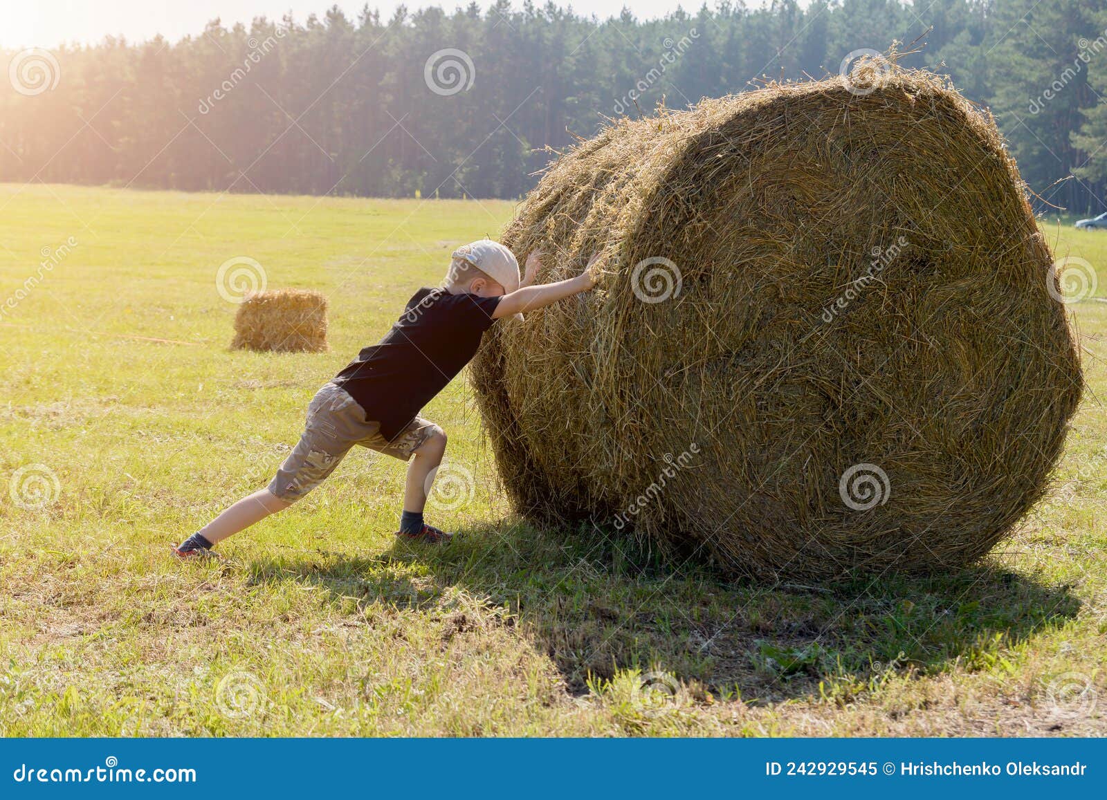 A Boy Pushes a Large Haystack.Toning Stock Image - Image of large, roll ...
