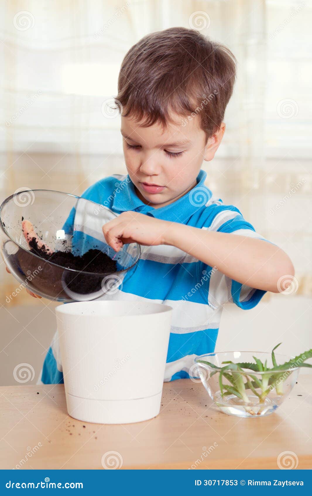 Boy puts plant in pot stock image. Image of earth, preschool - 30717853