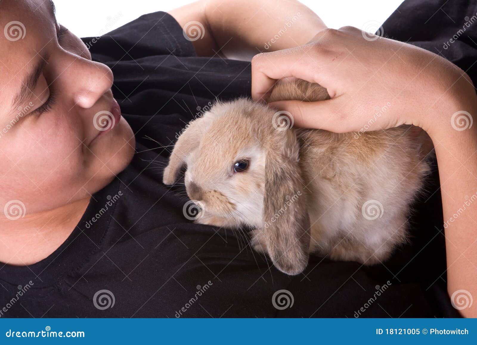 Boy and rabbit stock image. Image of animals, soft, animal - 18121005