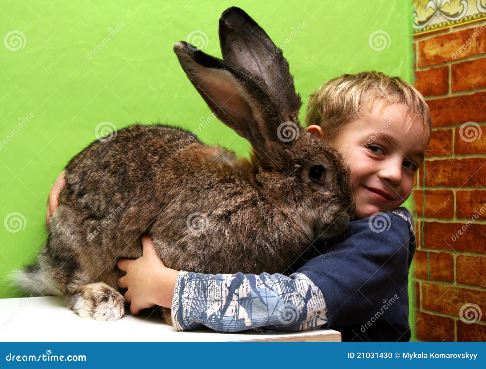 Boy with rabbit stock photo. Image of people, rabbit - 21031430