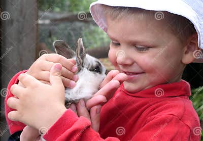 Boy and Rabbit stock photo. Image of animal, joyful, happy - 407422