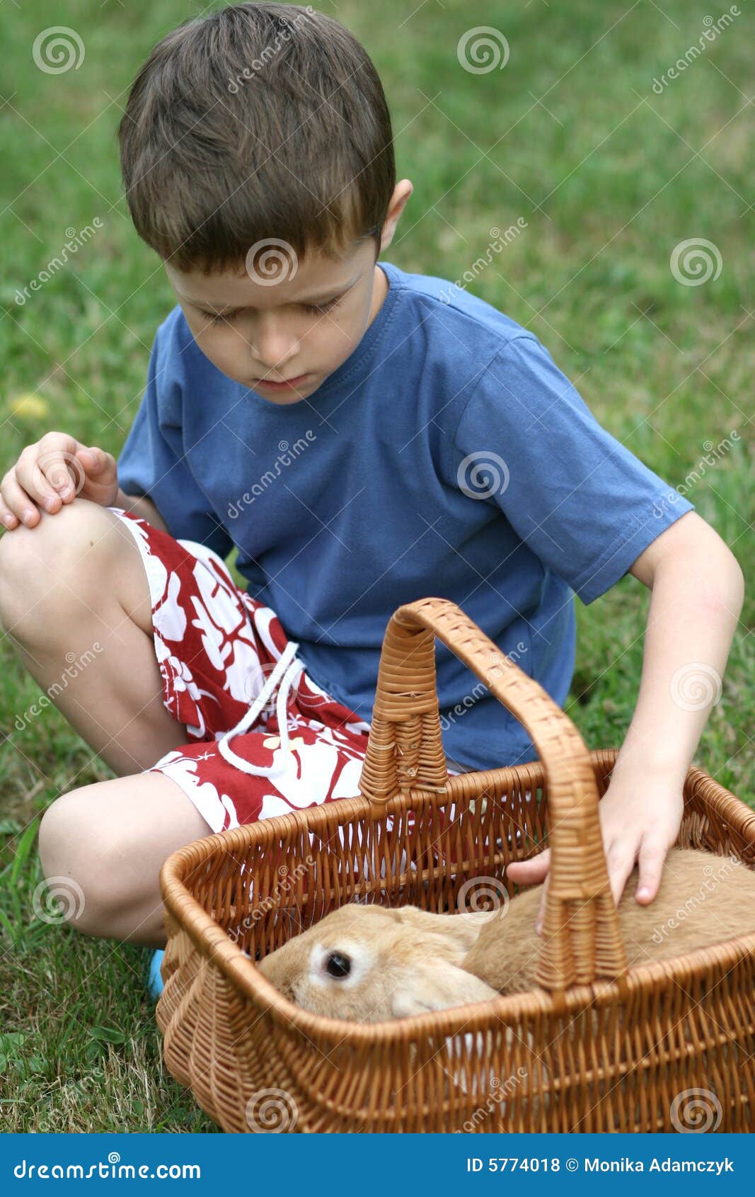 Boy and rabbit stock photo. Image of behavior, schoolboy - 5774018