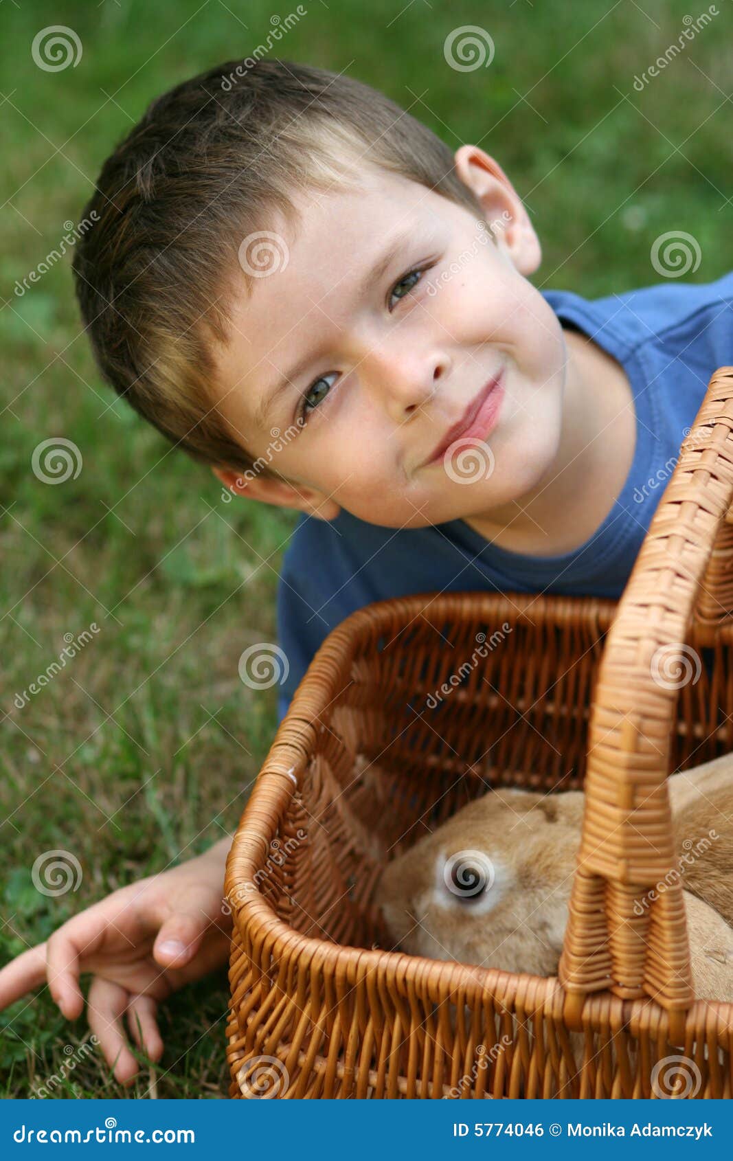 Boy and rabbit stock photo. Image of animal, vacation - 5774046