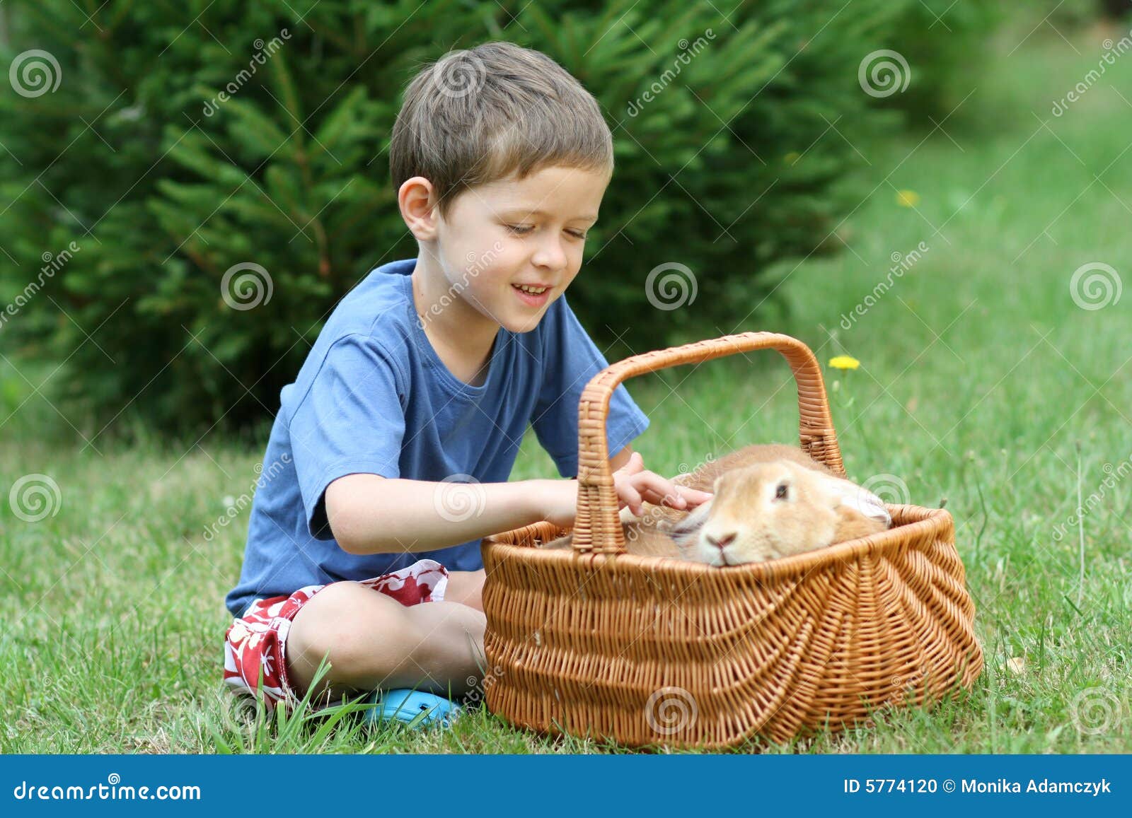 Boy and rabbit stock photo. Image of childhood, rabbit - 5774120