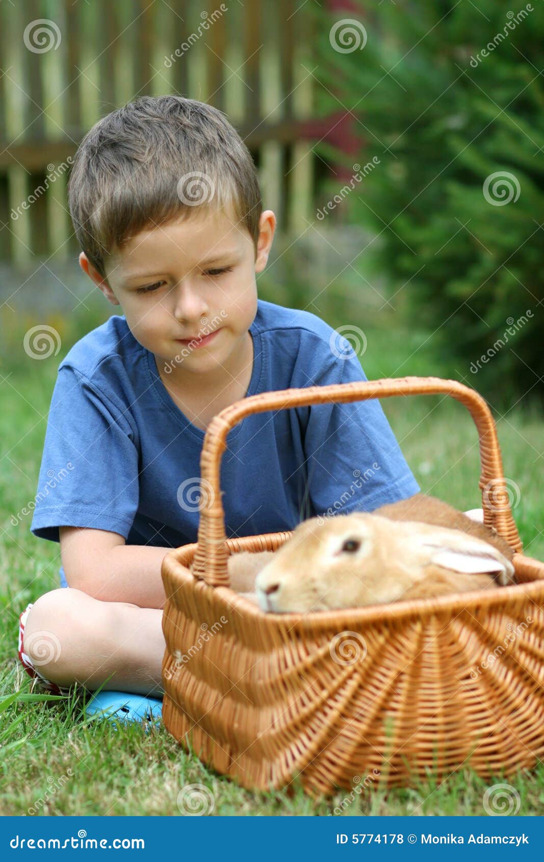 Boy and rabbit stock photo. Image of happiness, village - 5774178