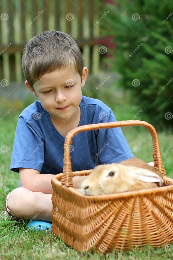 Boy and rabbit stock photo. Image of happiness, village - 5774178