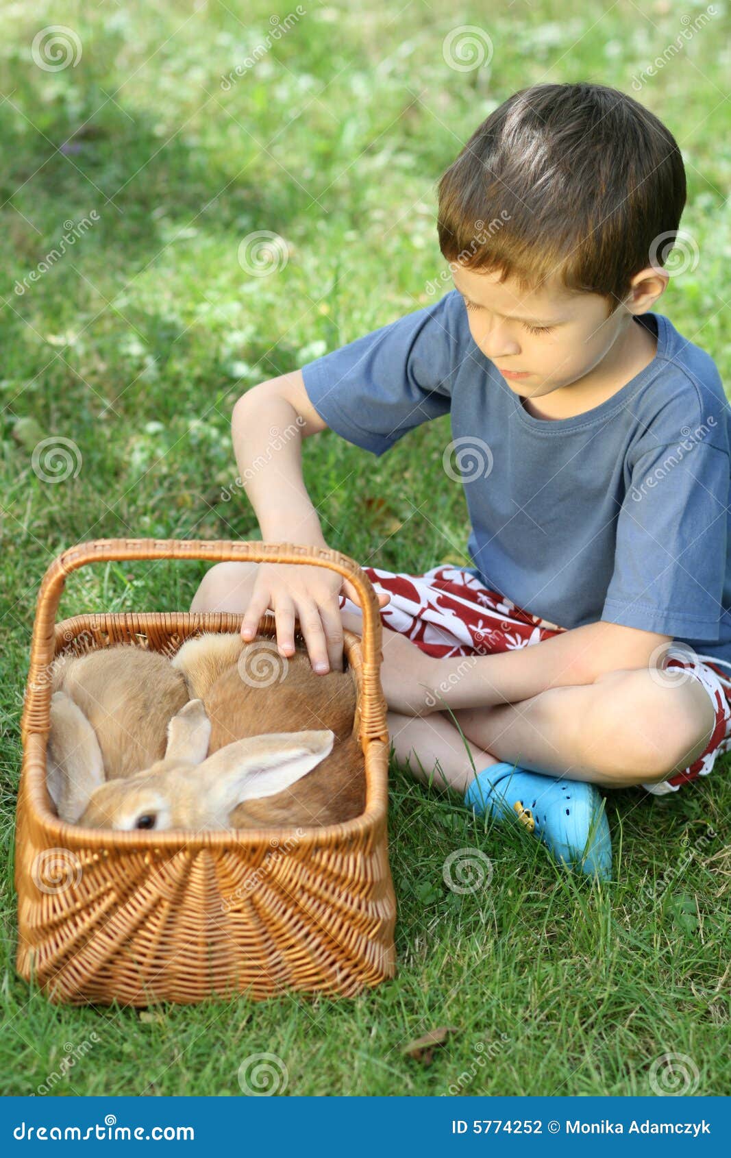 Boy and rabbit stock photo. Image of summer, cheerful - 5774252